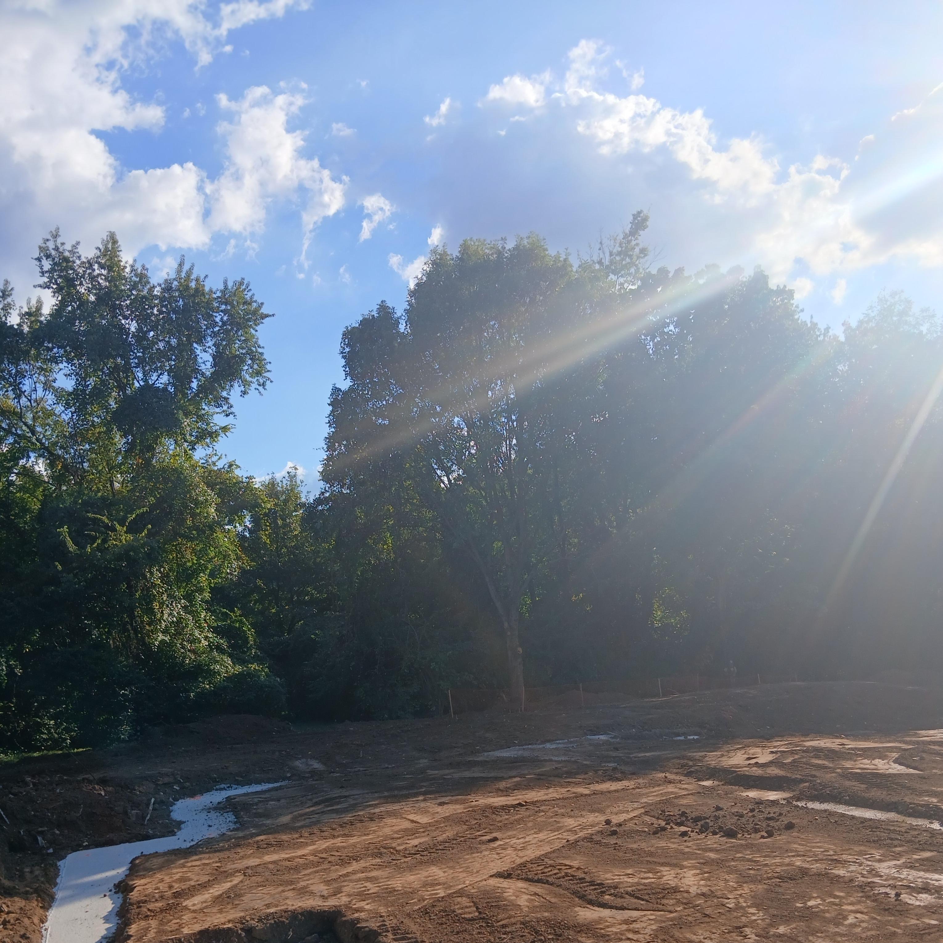 Rip I Do - David Ben-edward Tobin - 单曲 - 网易云音乐