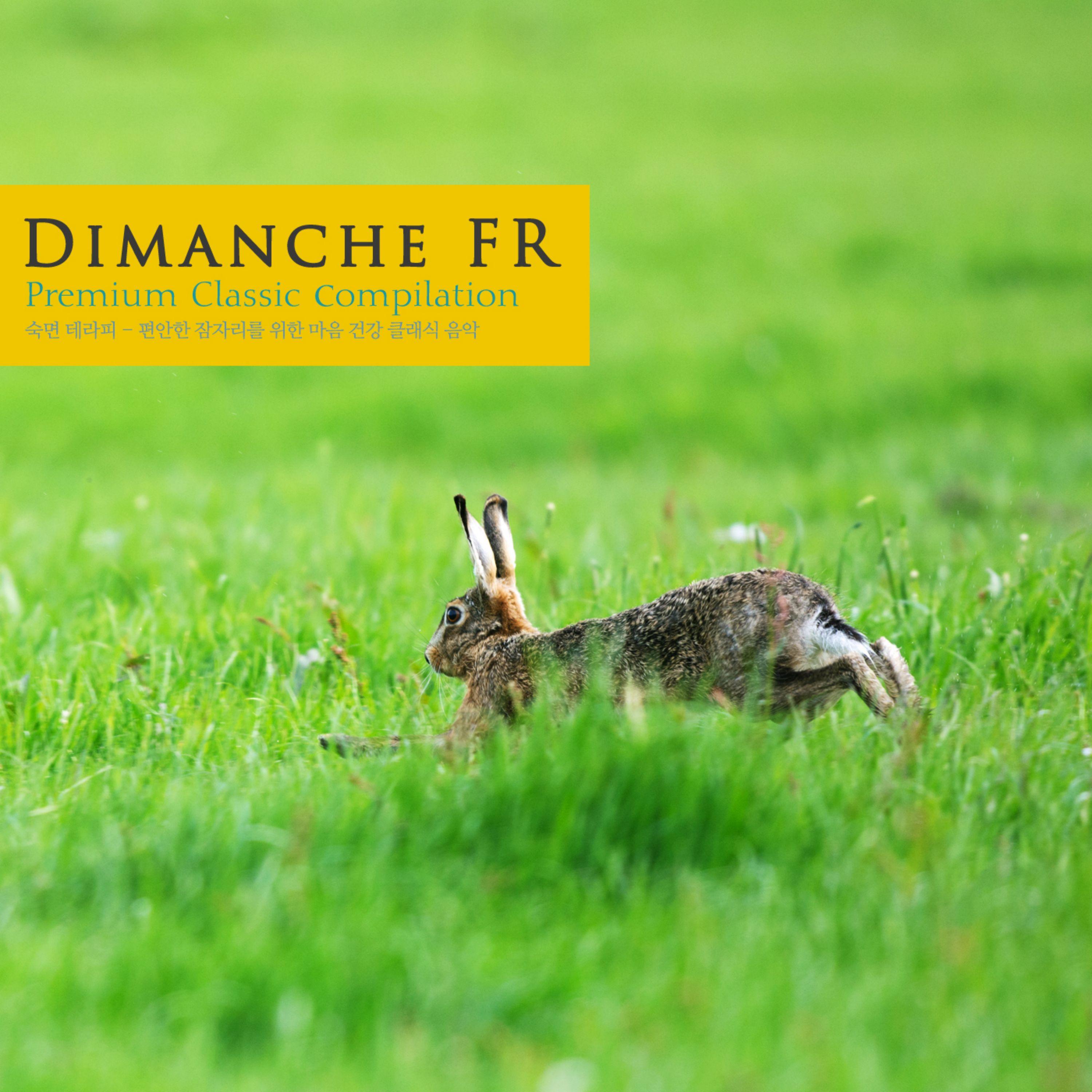 Mozart: Symphony No.29 In A Major K.201 - II. Andante - Various Artists ...