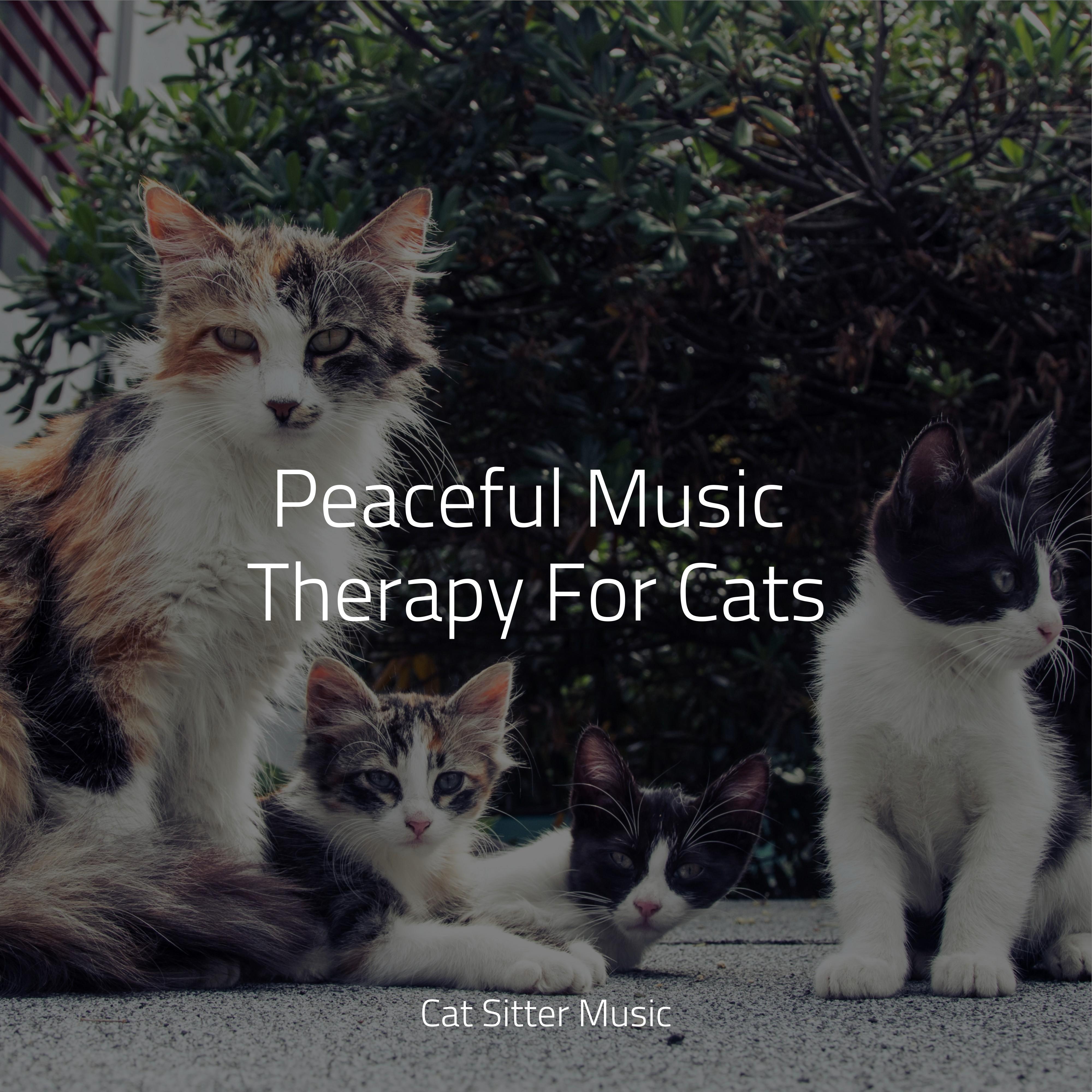 Massage Therapy - Music for Relaxing Cats/Calm Music for Cats/Cat Music ...