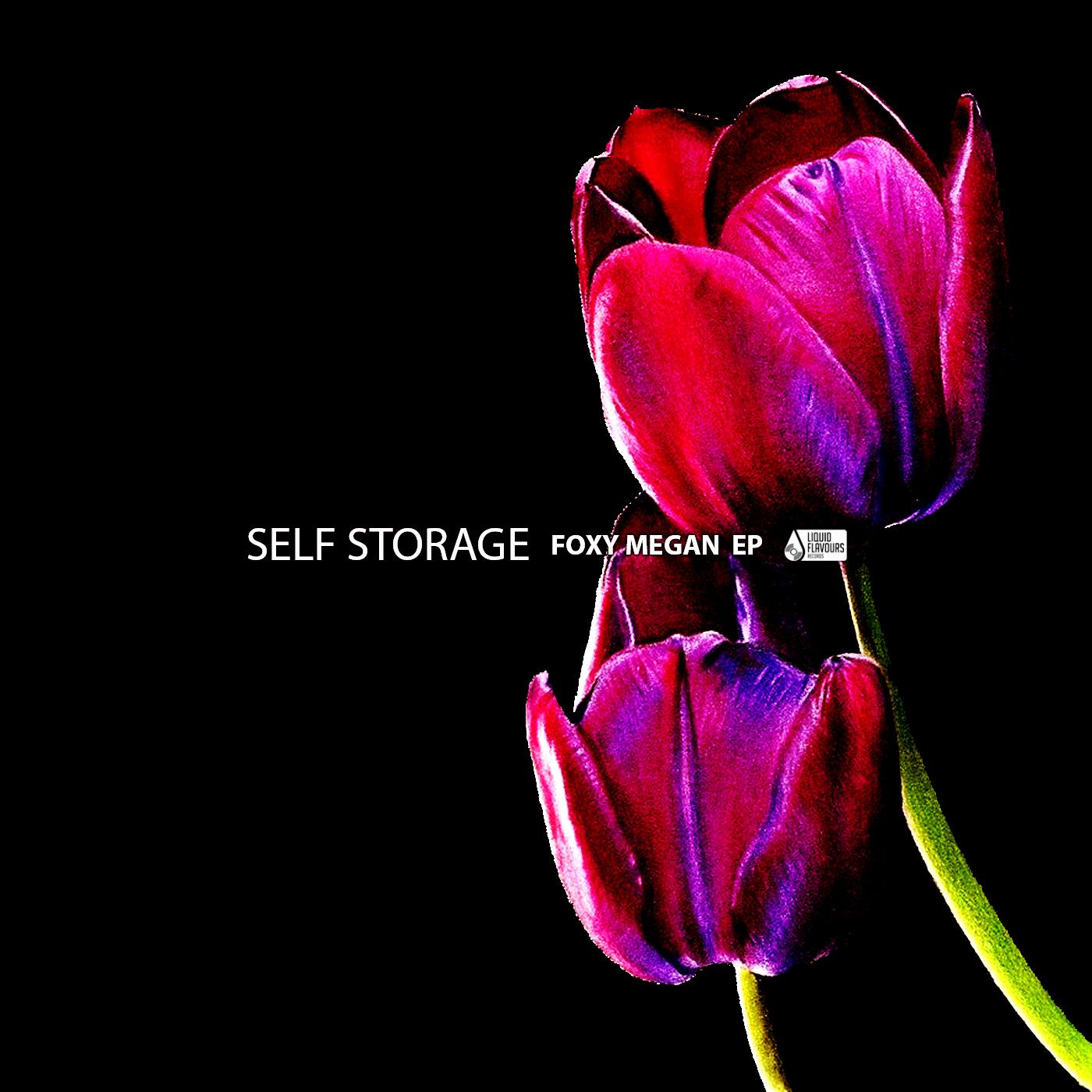 Jazz Caveat - Self Storage - 单曲 - 网易云音乐