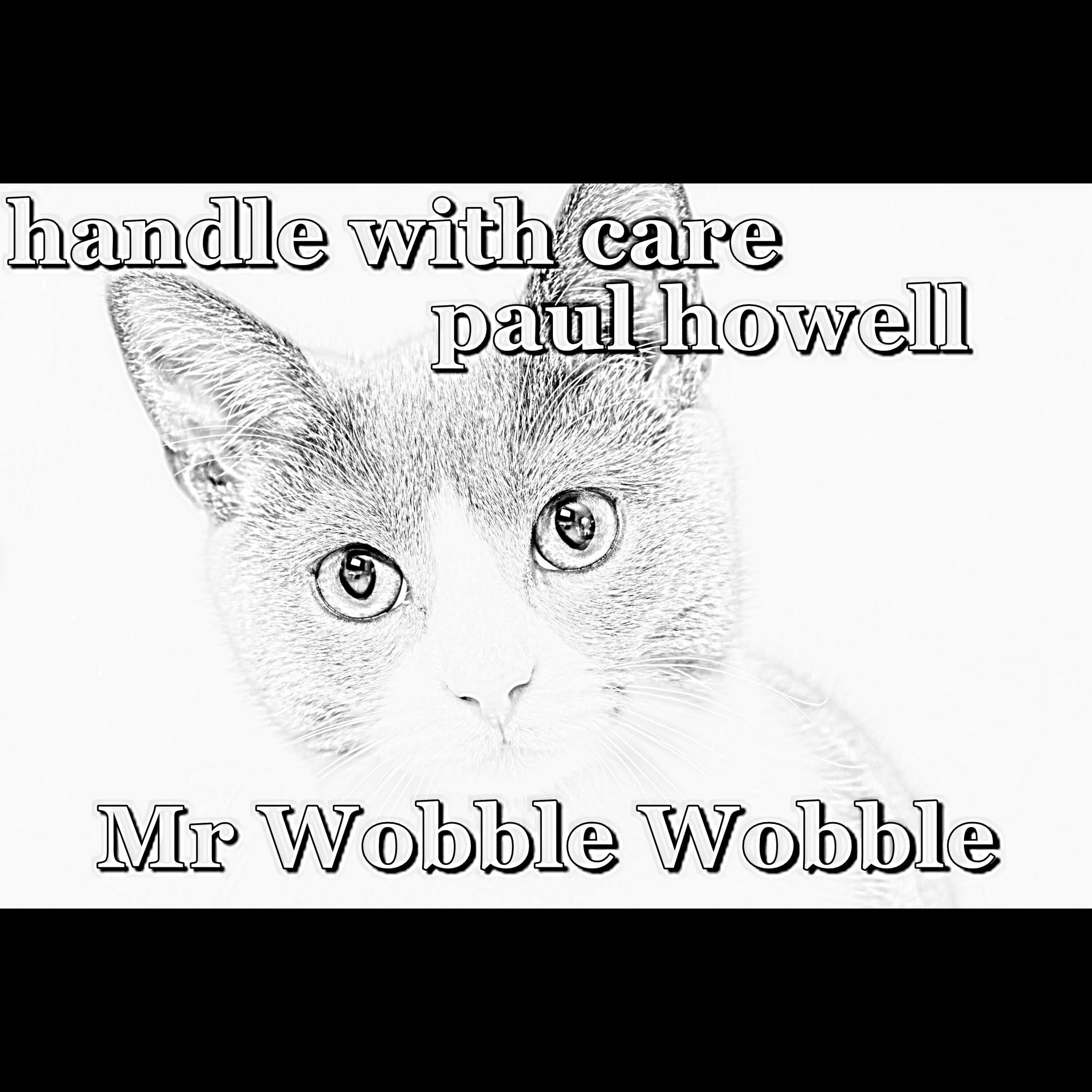 Mr Wobble Wobble - handle with care paul howell - 专辑 - 网易云音乐