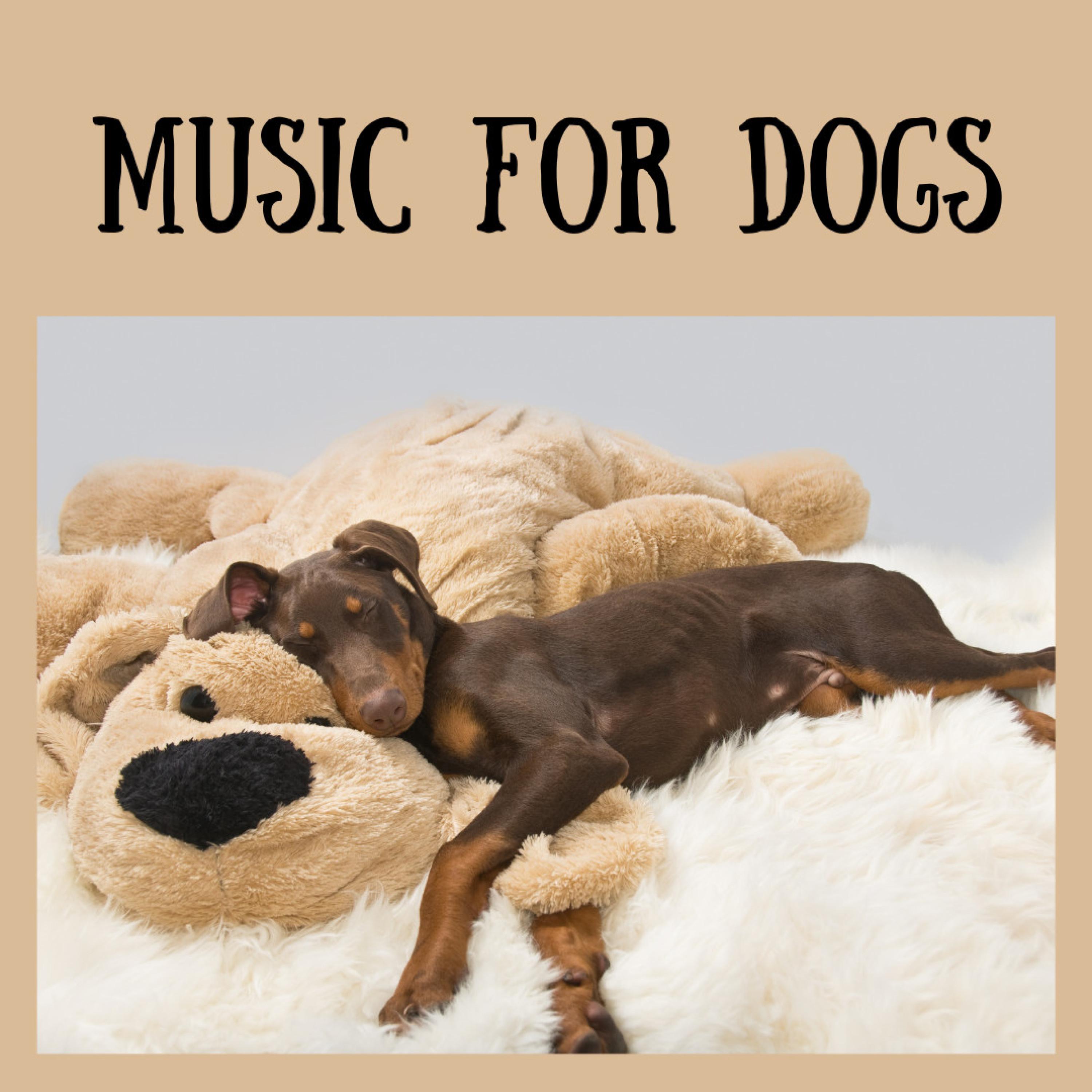Meditation Dog - Music For Dogs/Music For Dogs Peace/Relaxing Puppy ...