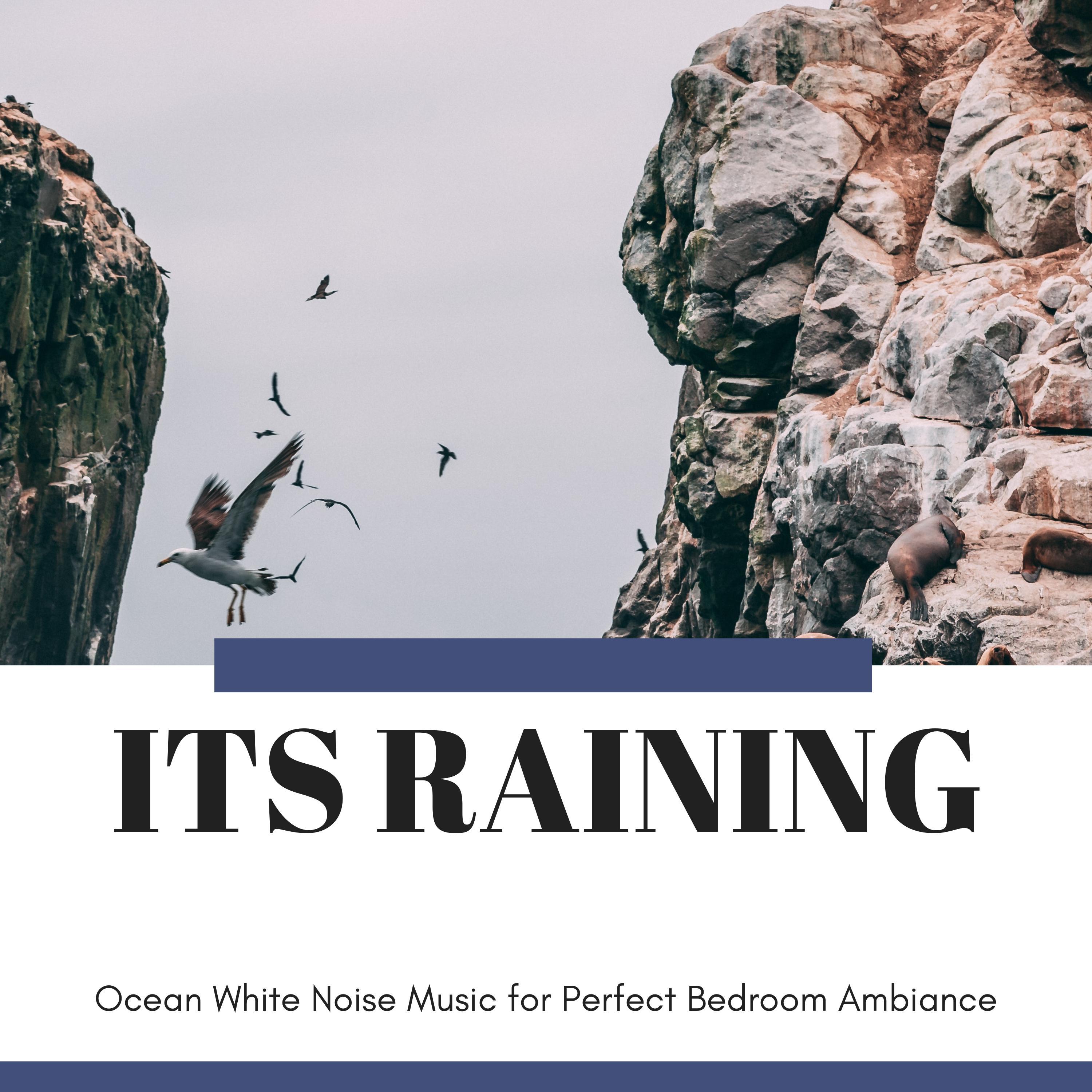 Open the Bird Eye - Bird Love - 单曲 - 网易云音乐