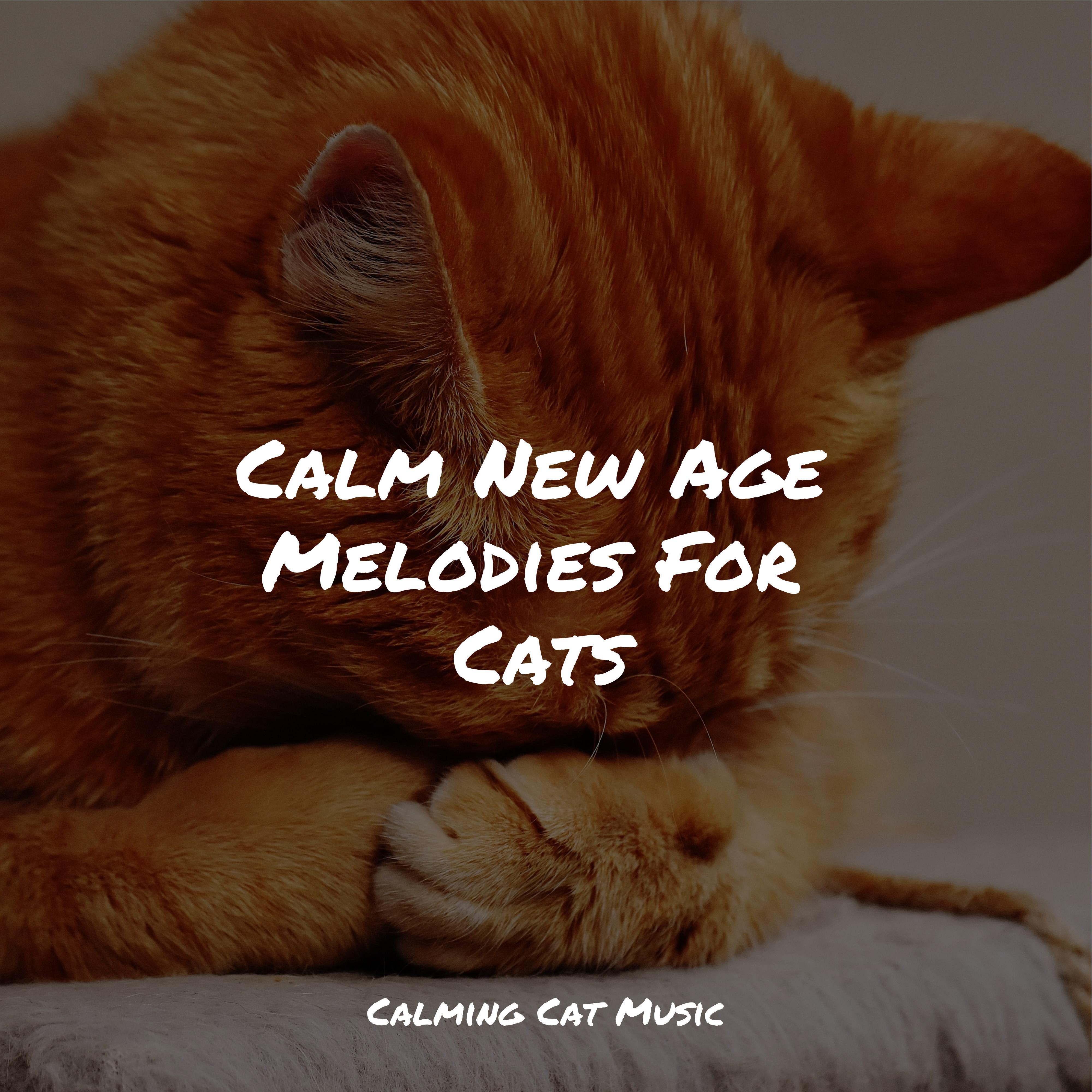 Calm Sea Breeze - Music for Pets Library/Pet Care Club/Music for Cats ...