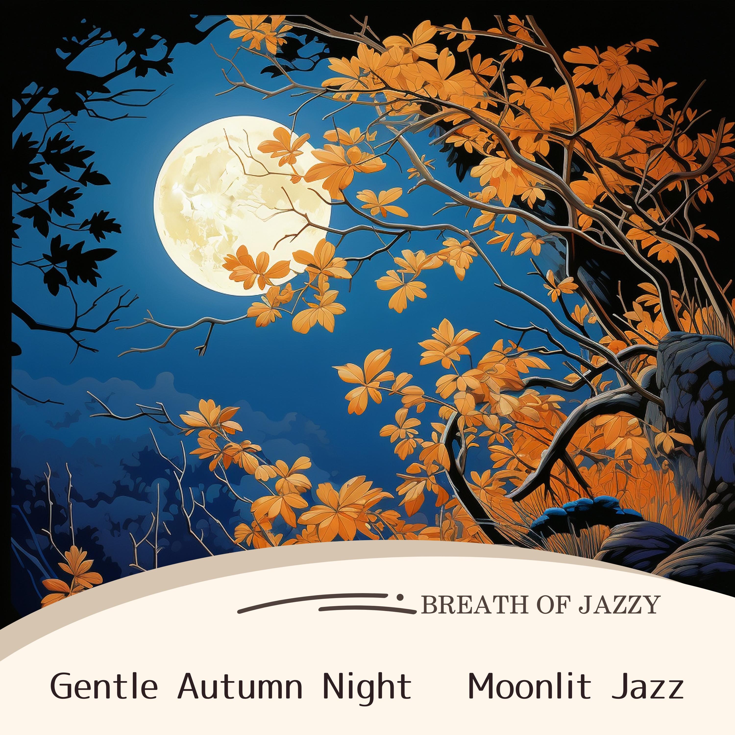 Gentle Autumn Night – Moonlit Jazz - Breath of Jazzy - 专辑 - 网易云音乐