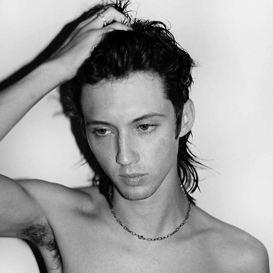 Troye Sivan（Troye Sivan Mellet） - 歌手 - 网易云音乐