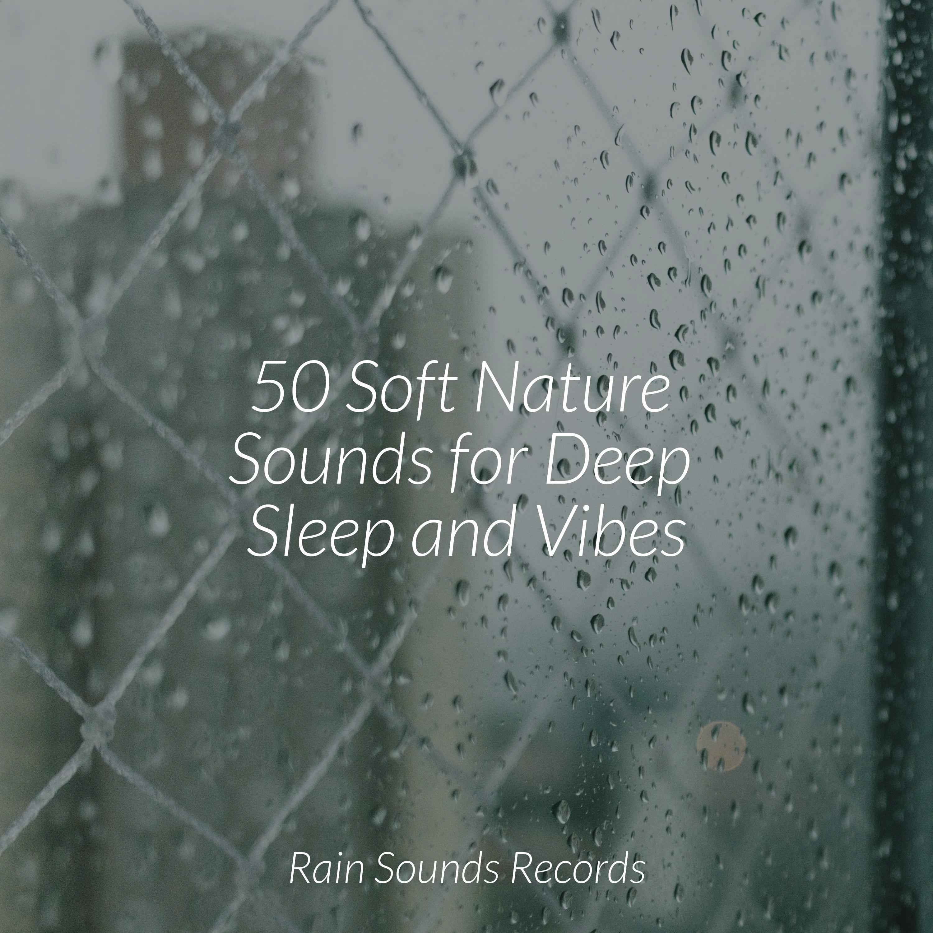 50 Soft Nature Sounds for Deep Sleep and Vibes - Yoga - 专辑 - 网易云音乐