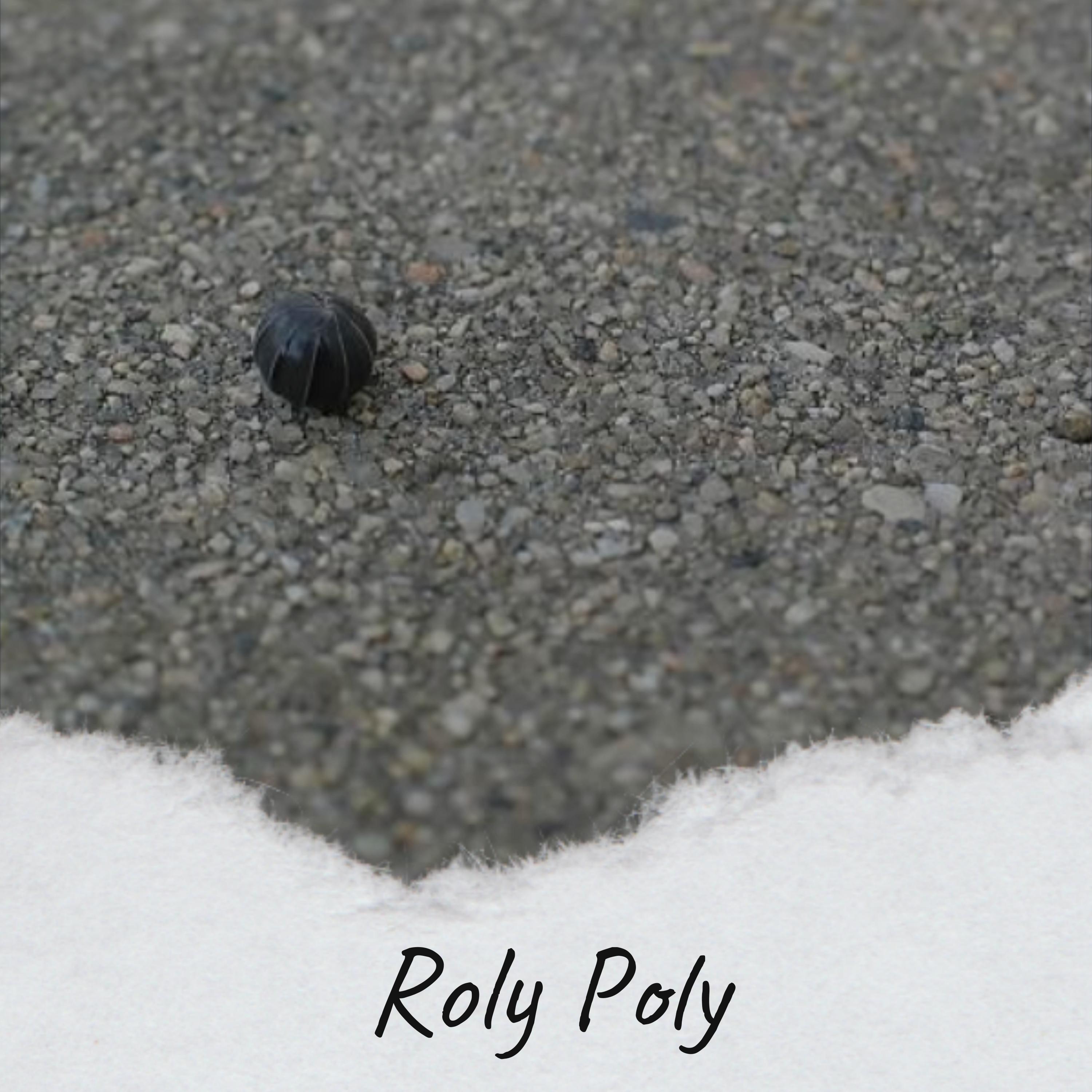 How Great Thou Art - Mac Wiseman - 单曲 - 网易云音乐