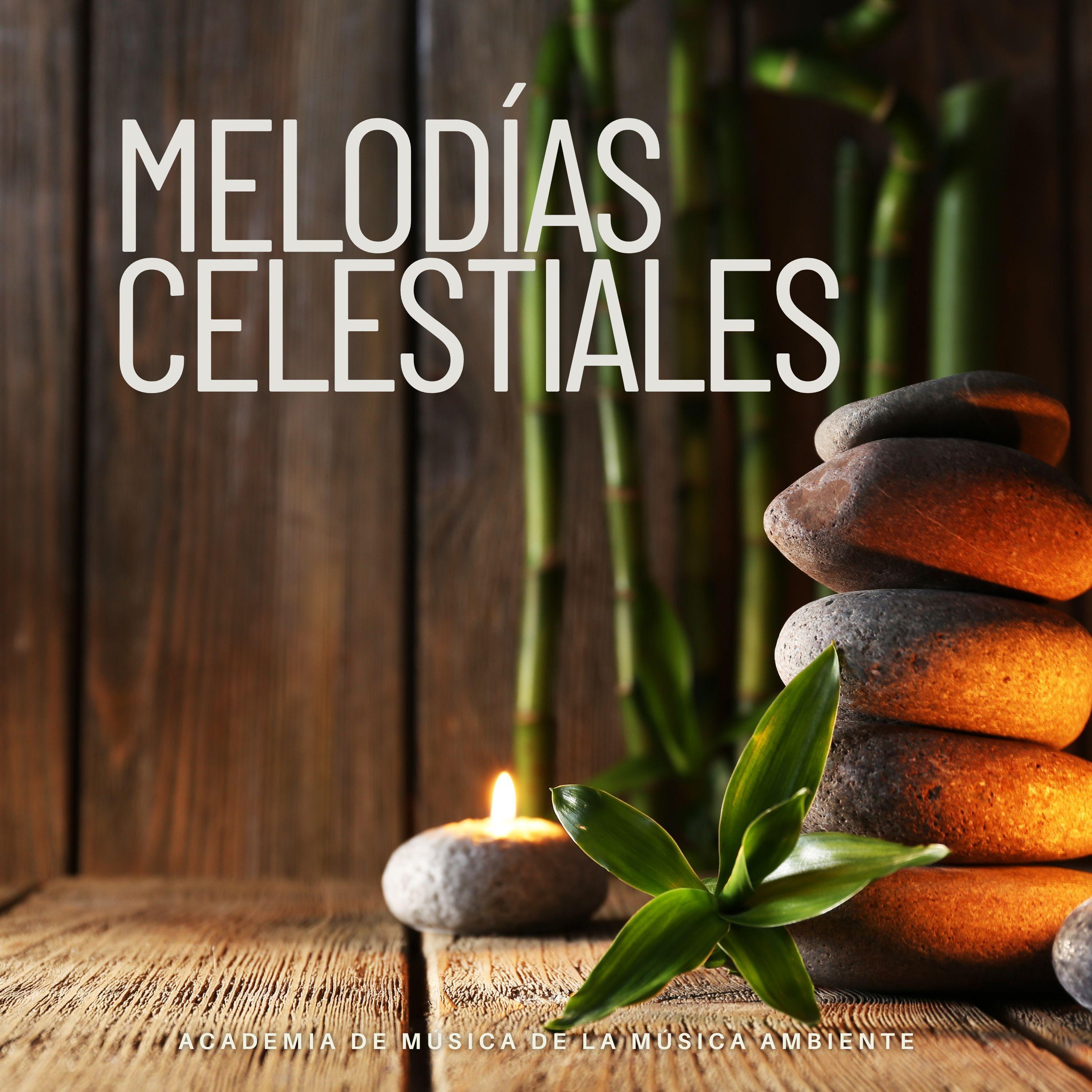 Música de Fondo para Masajes - Academia de Música de la Música Ambiente ...
