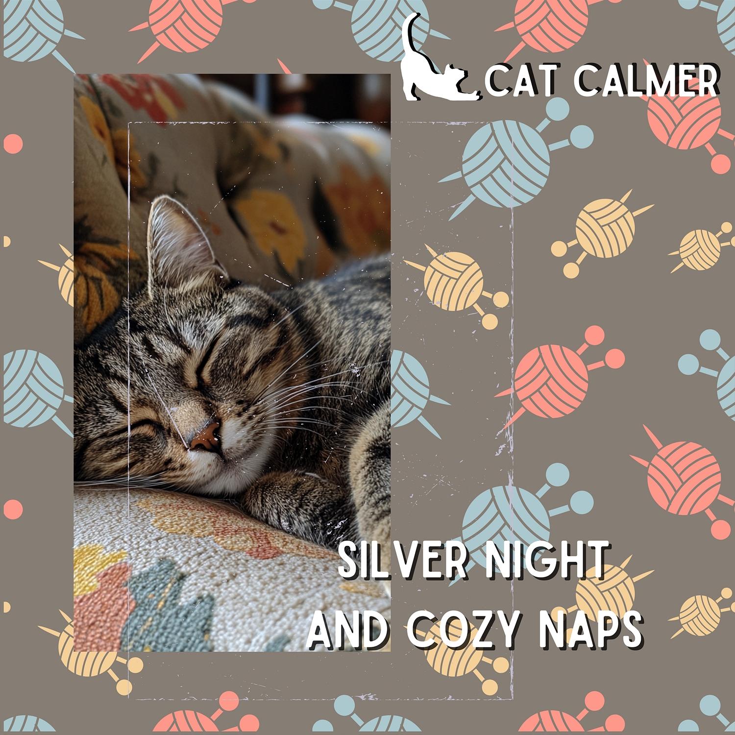 Silver Night and Cozy Naps - Cat Calmer - 专辑 - 网易云音乐