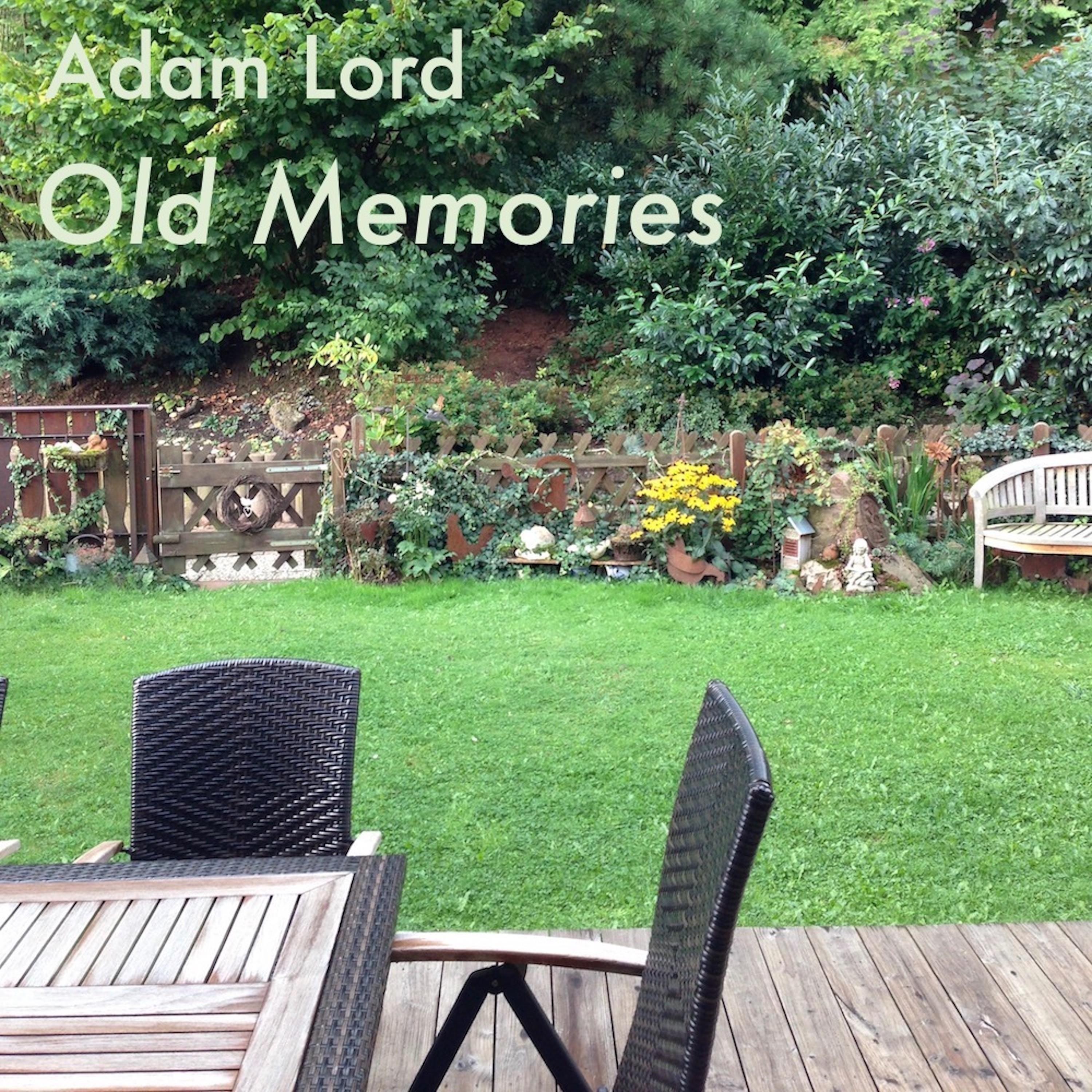 Traffic Lights - Adam Lord - 单曲 - 网易云音乐