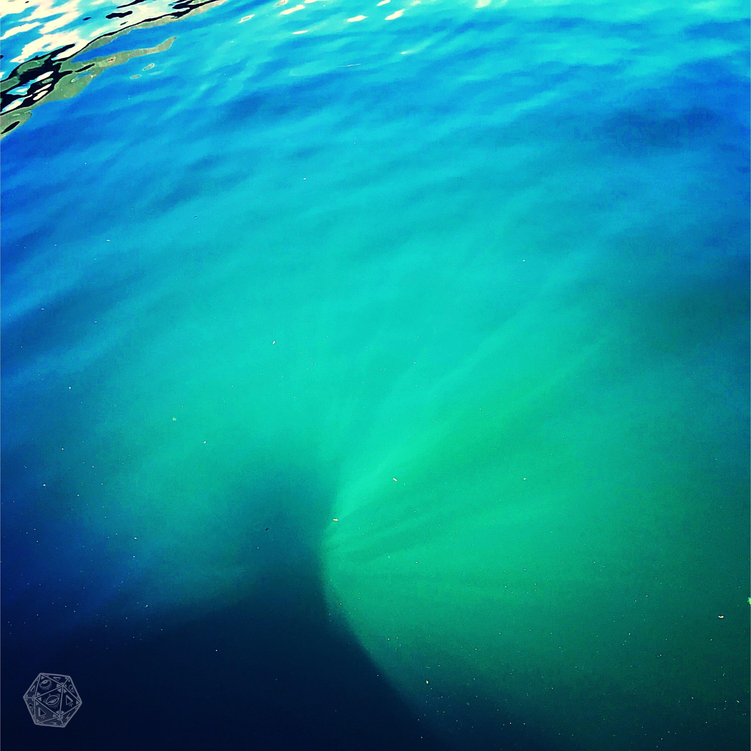 Godspeed You Apple of My Tree - HDOD - 专辑 - 网易云音乐