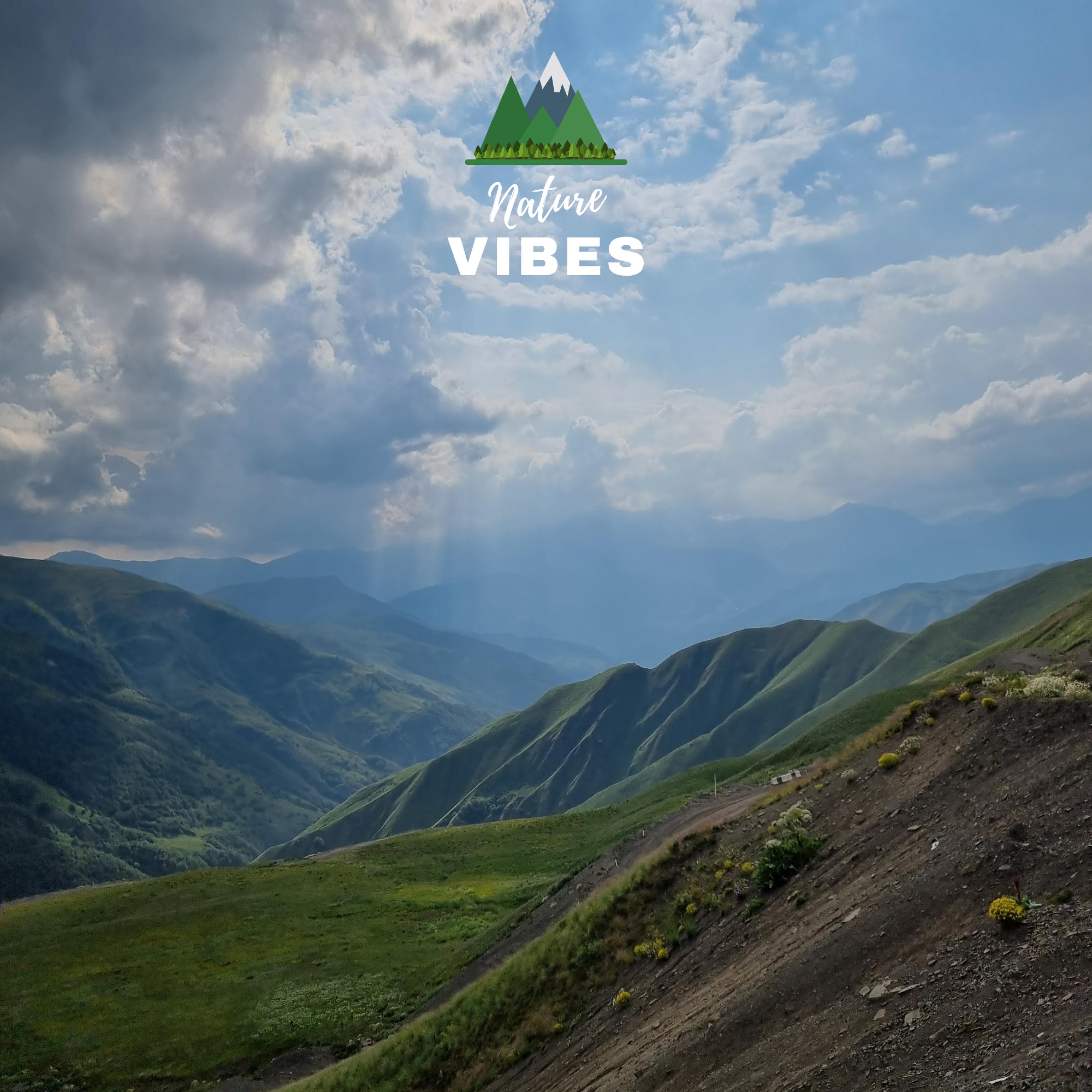 Somber Rolling Hills - Nature Vibes - 专辑 - 网易云音乐