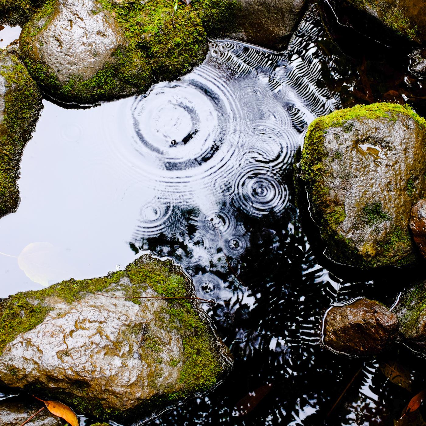 Rainy Day Relaxation - Meditation Rain Sounds/Rain for Deep Sleep/Rain ...