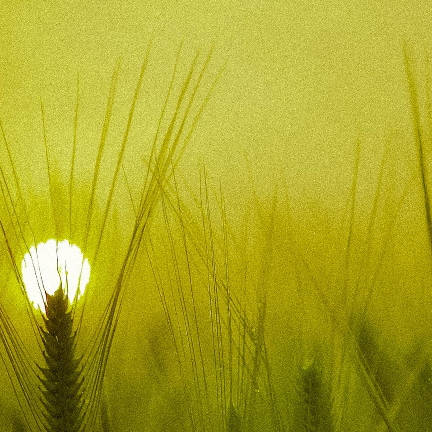 A Beautiful Sky - Relaxing Music/between waves - 单曲 - 网易云音乐