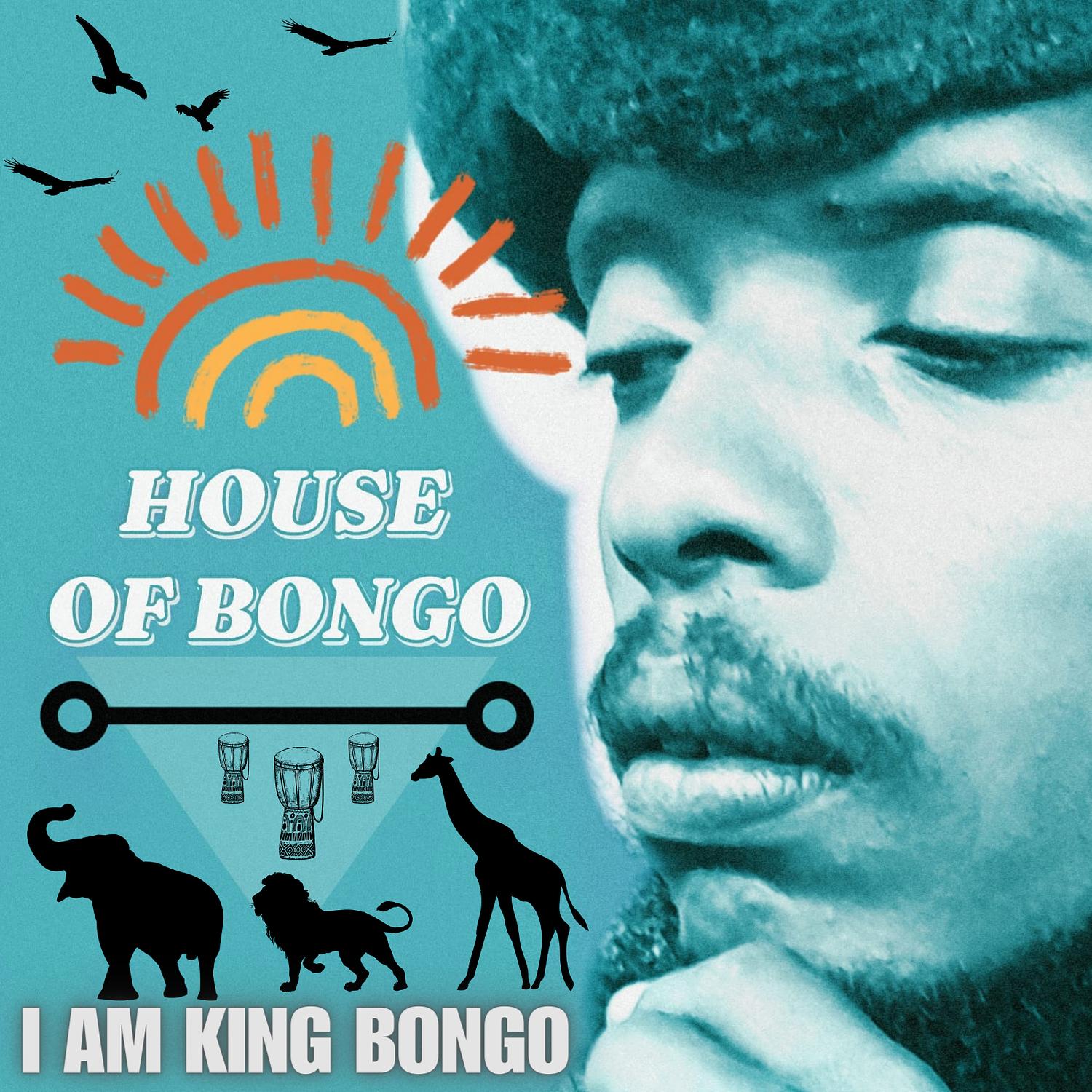 Strength & Redeemer - I Am King Bongo - 单曲 - 网易云音乐