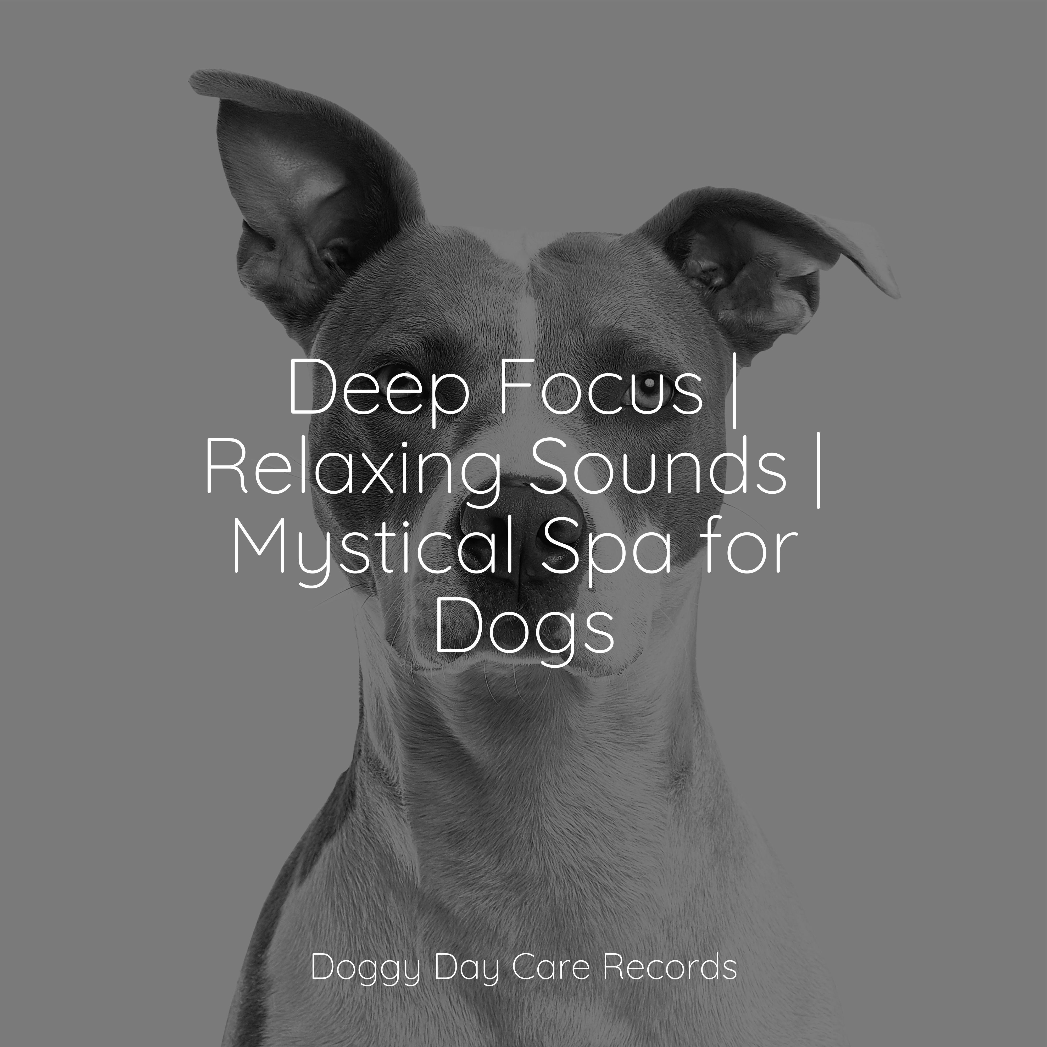 Deep Focus | Relaxing Sounds | Mystical Spa for Dogs - Sleep Music For ...