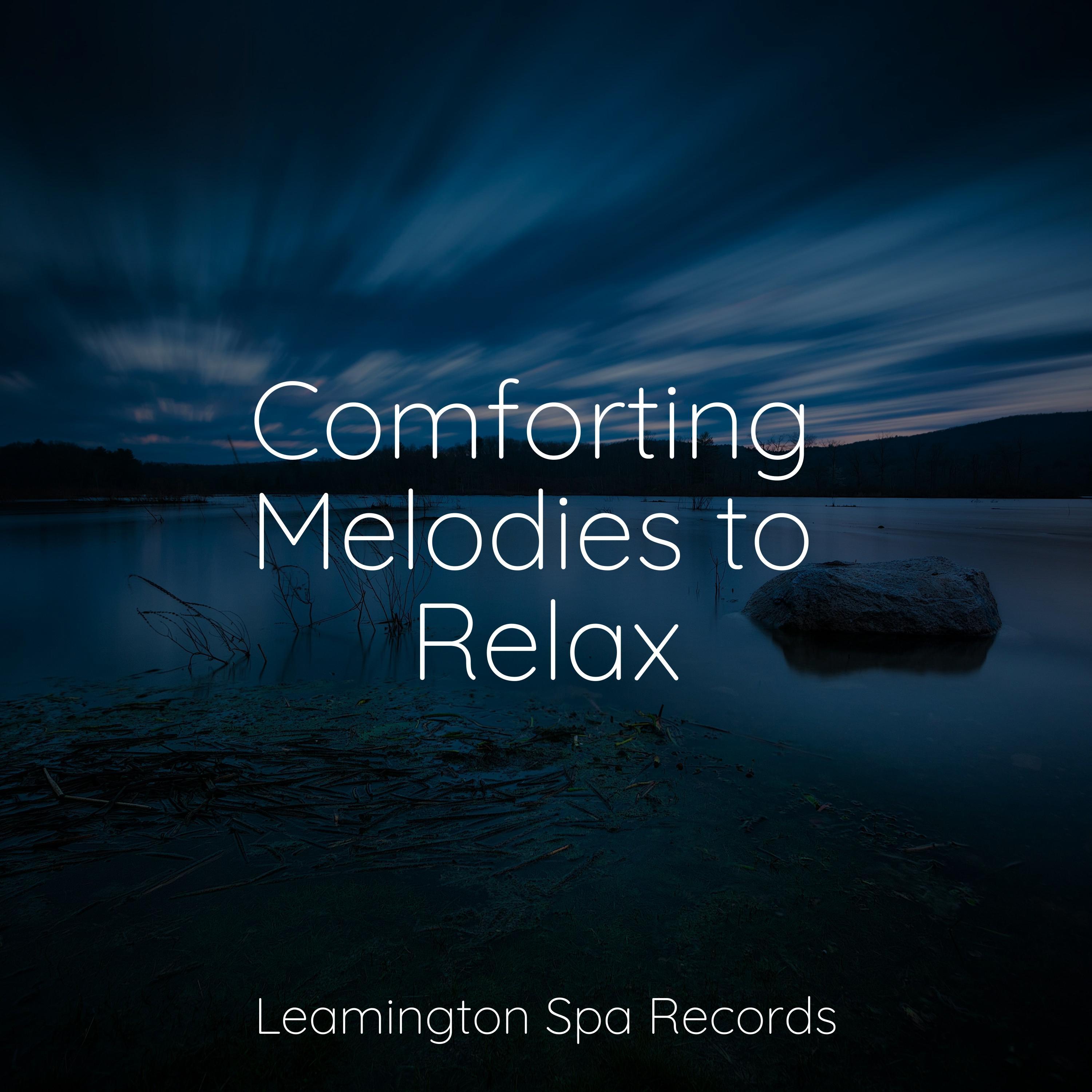 Comforting Melodies to Relax - Tranquil Music Sound of Nature - 专辑 - 网易云音乐