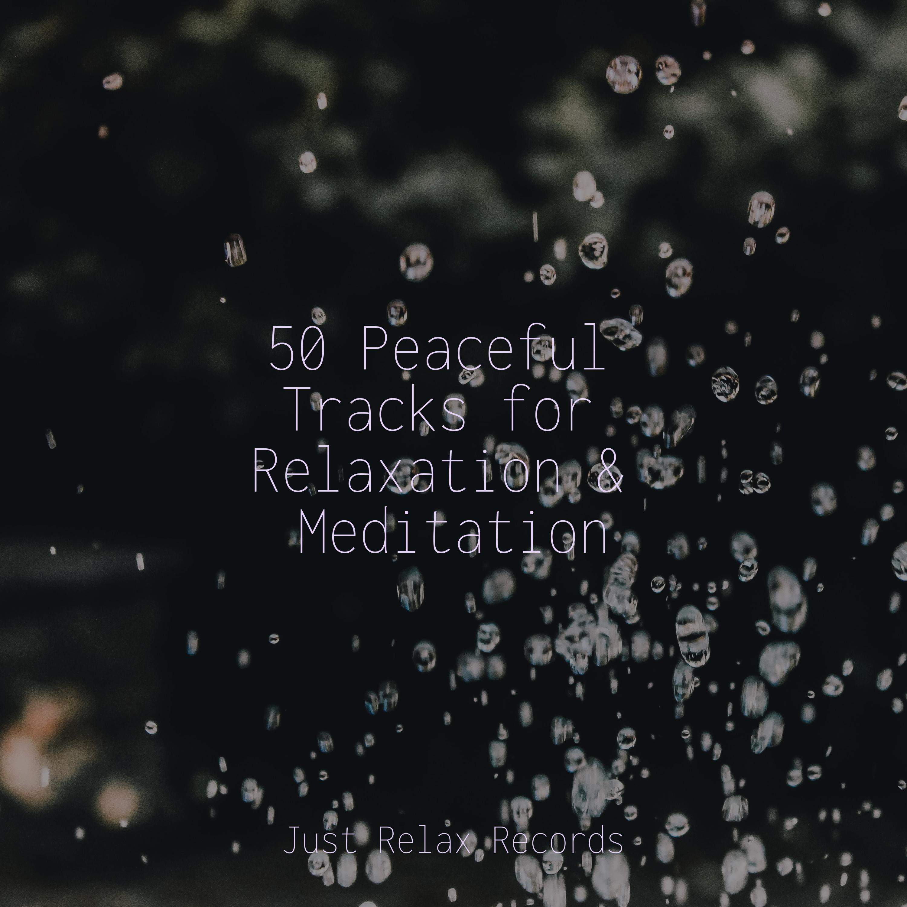 50 Peaceful Tracks for Relaxation & Meditation - Deep Sleep Meditation ...