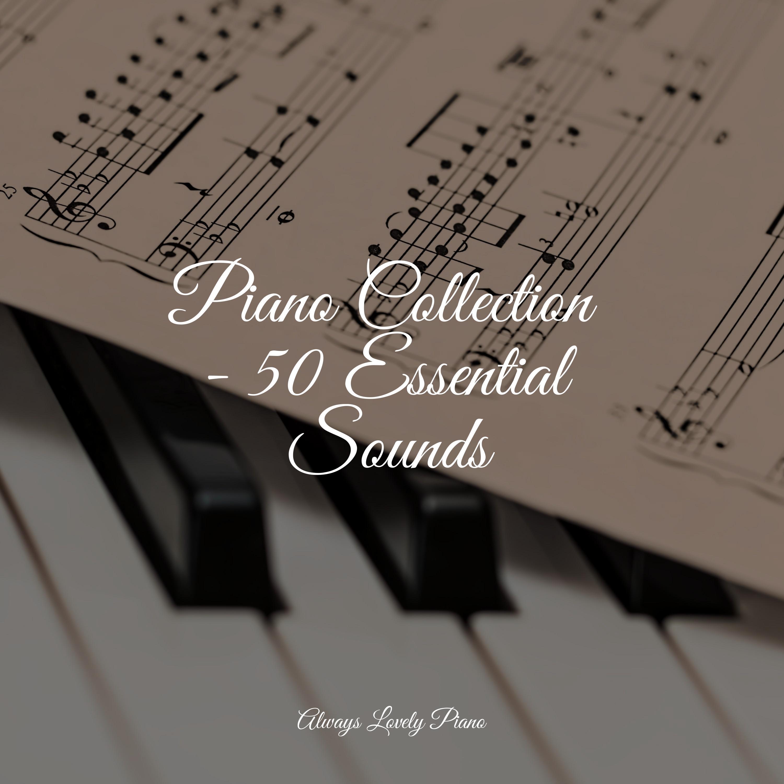 Piano Collection - 50 Essential Sounds - Piano Relajante - 专辑 - 网易云音乐