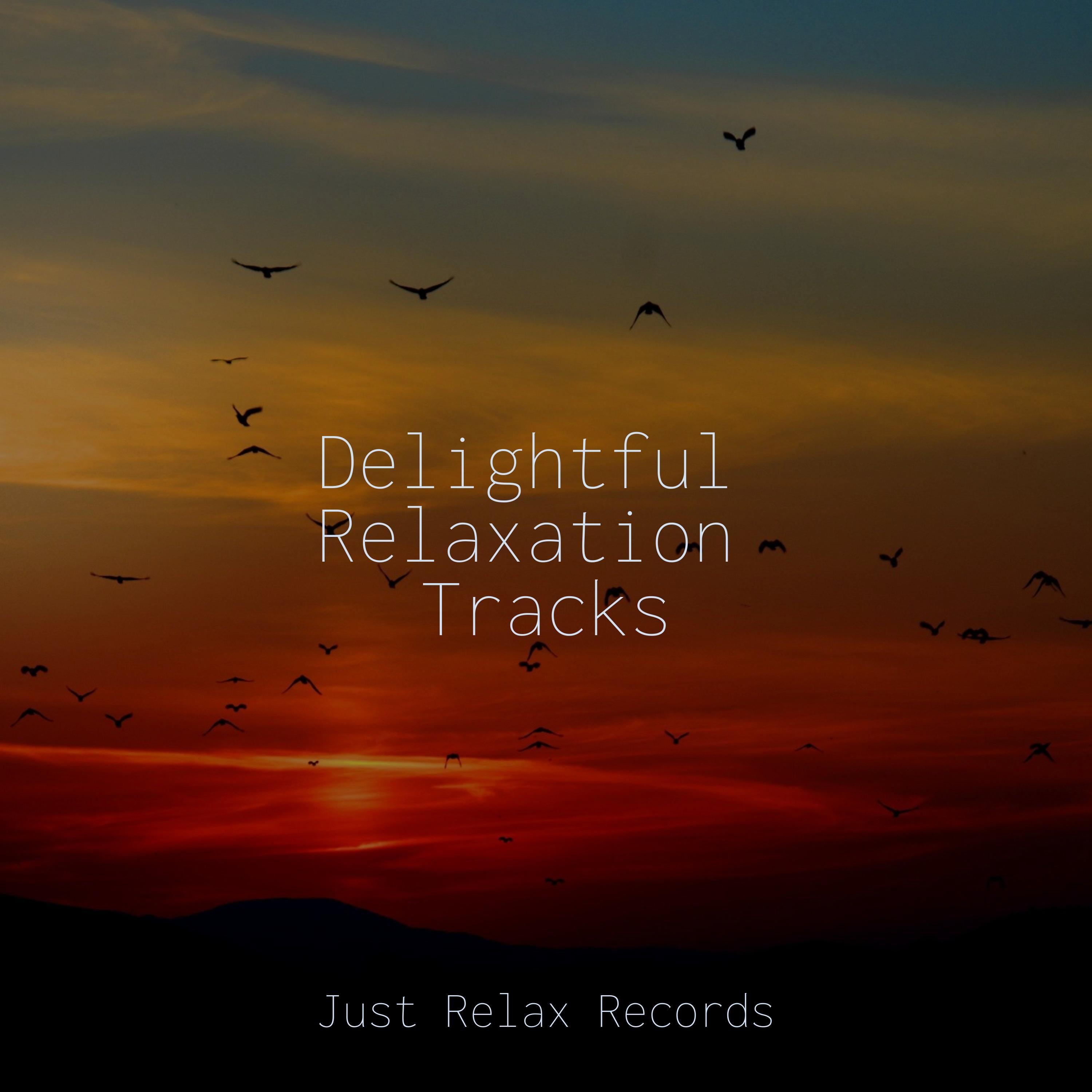 Delightful Relaxation Tracks - Calm Music for Studying - 专辑 - 网易云音乐