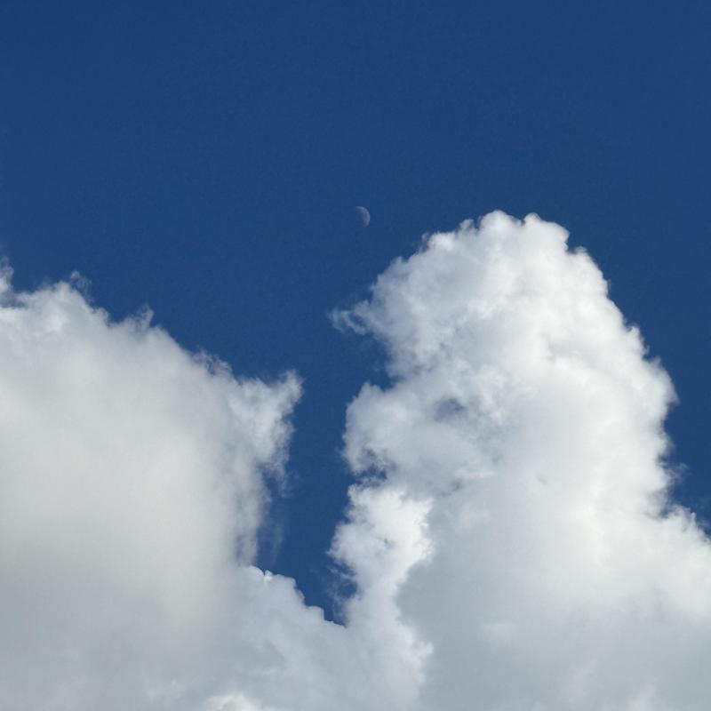 Skytrain (VancouverBc) - emtee3 - 专辑 - 网易云音乐