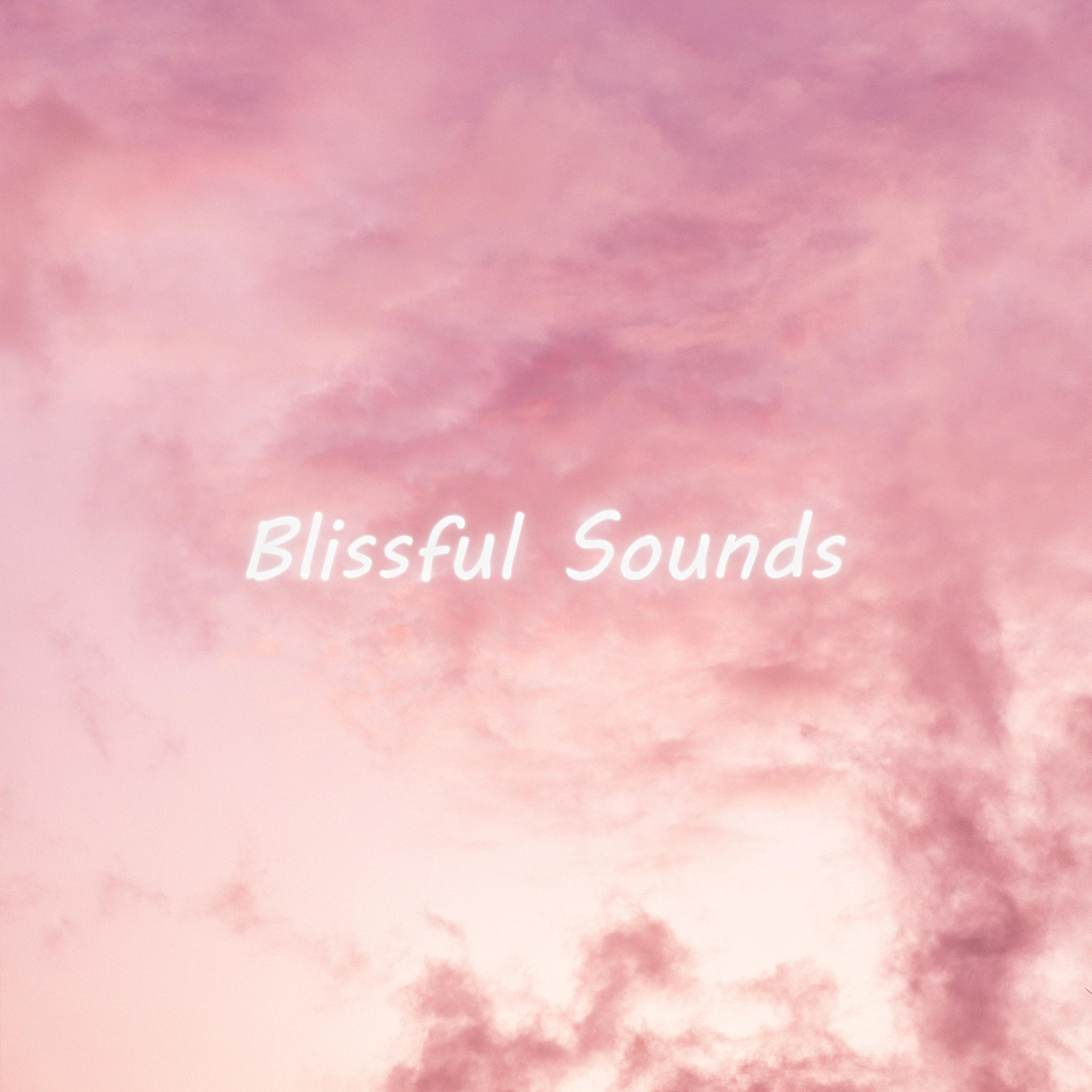 Enchanted Bliss - Blissful sounds - 专辑 - 网易云音乐