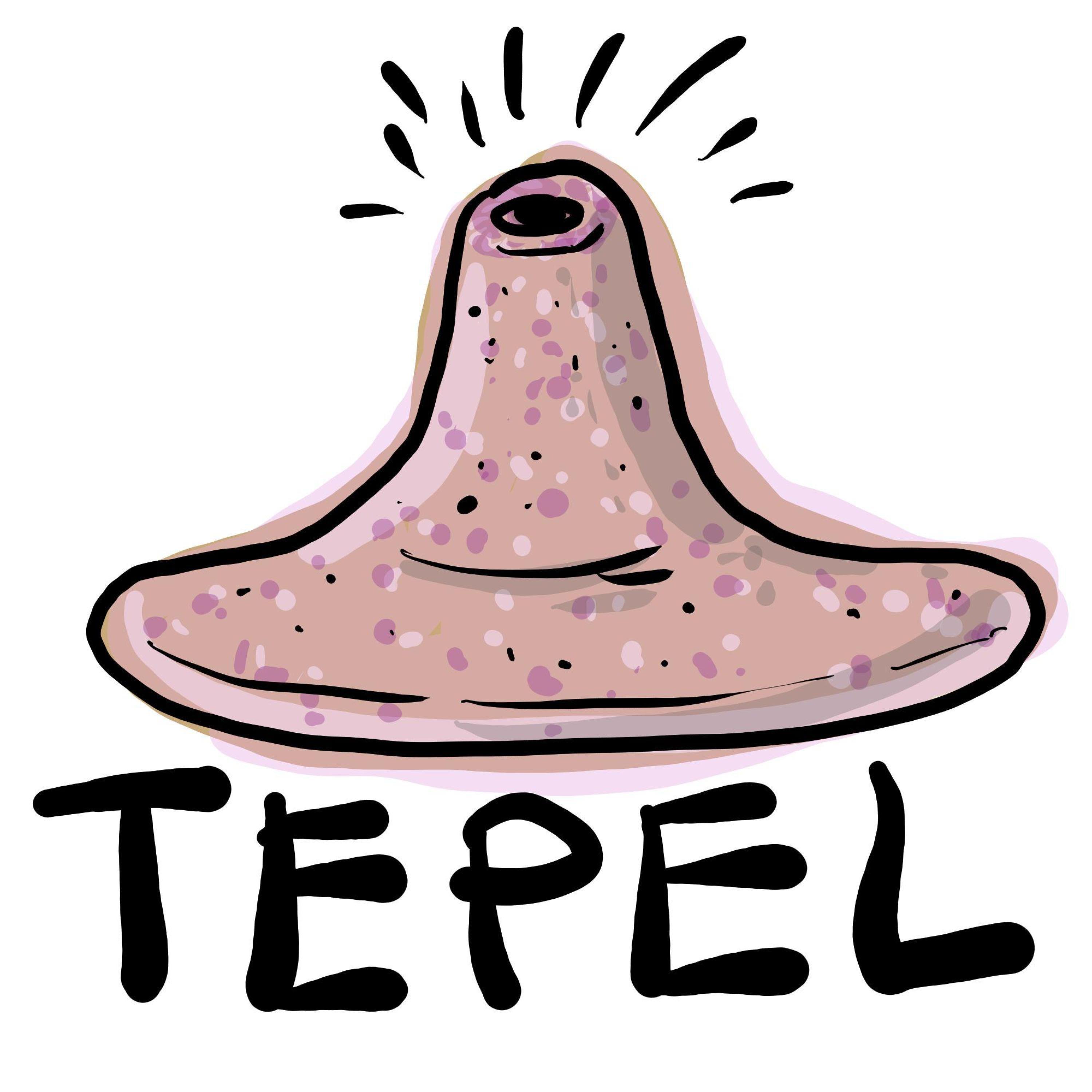 Tepel lied! - De Tekentovenaar - 单曲 - 网易云音乐