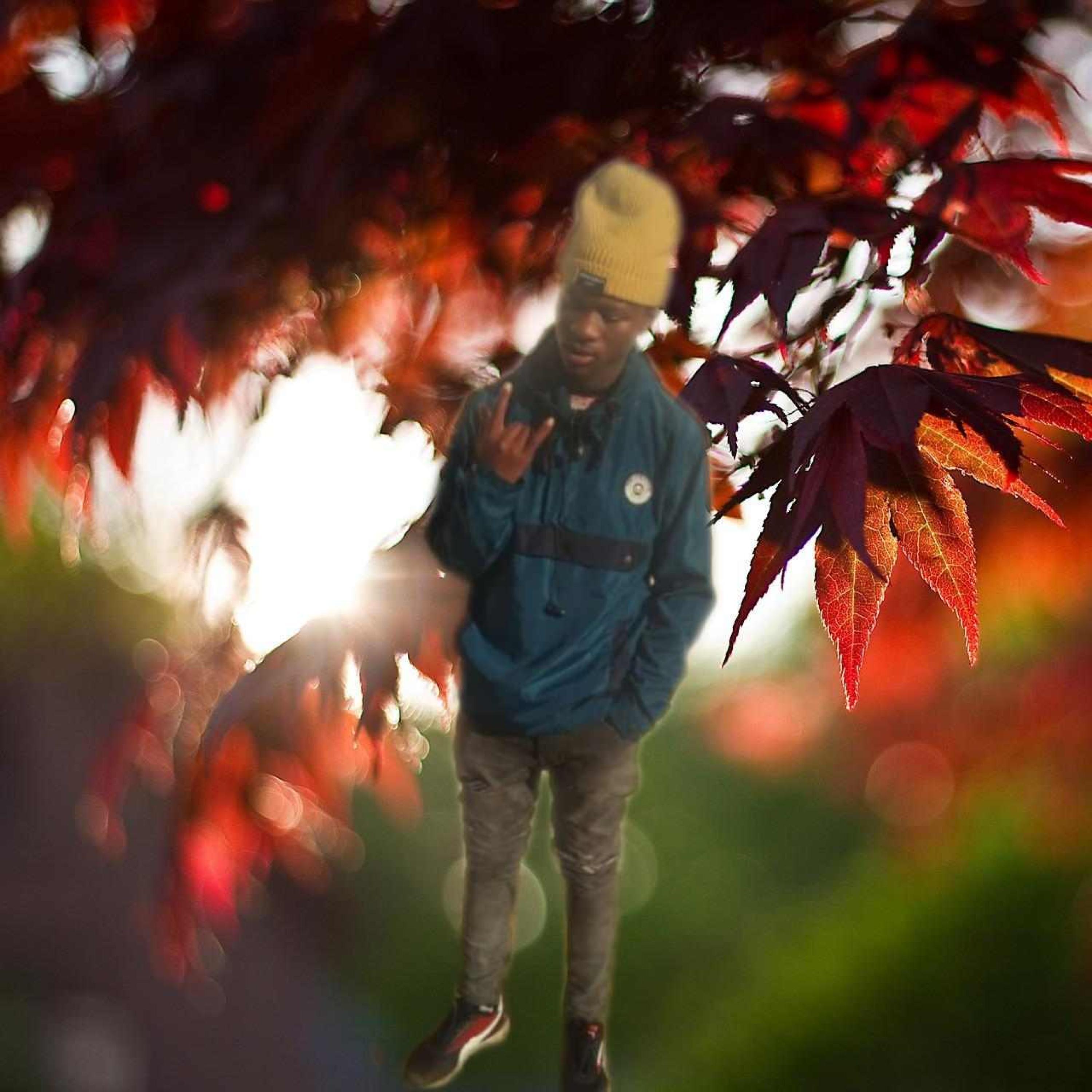 Am not promising - Nature da prince - 专辑 - 网易云音乐