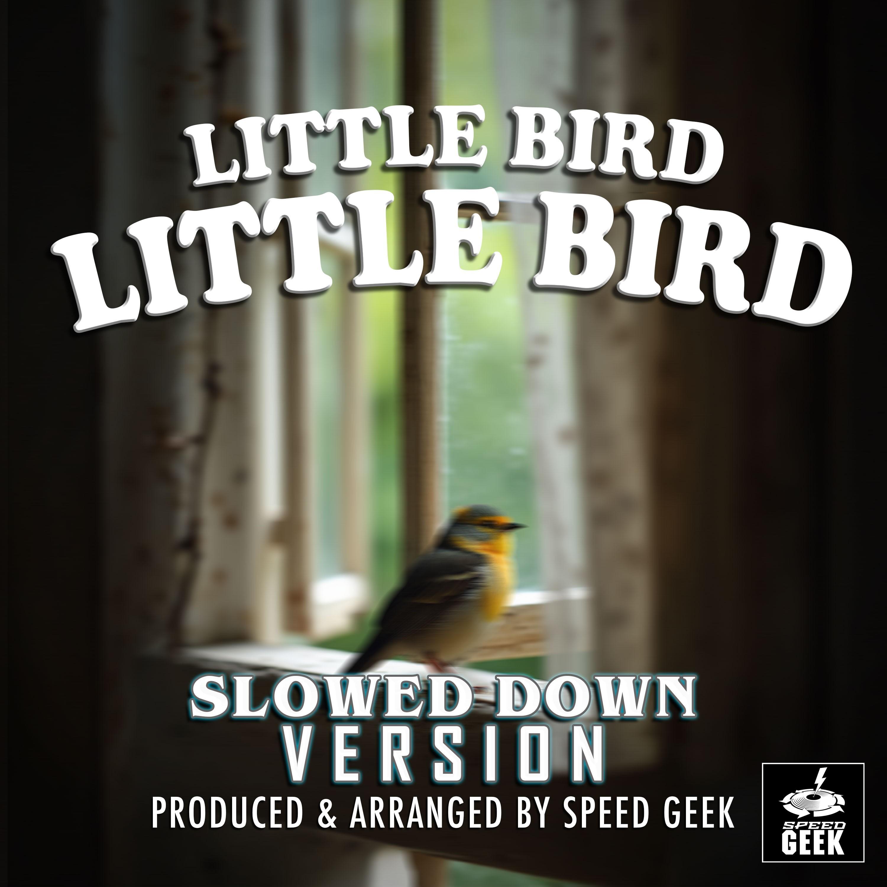 Little Bird, Little Bird (Slowed Down Version) - Speed Geek - 单曲 - 网易云音乐