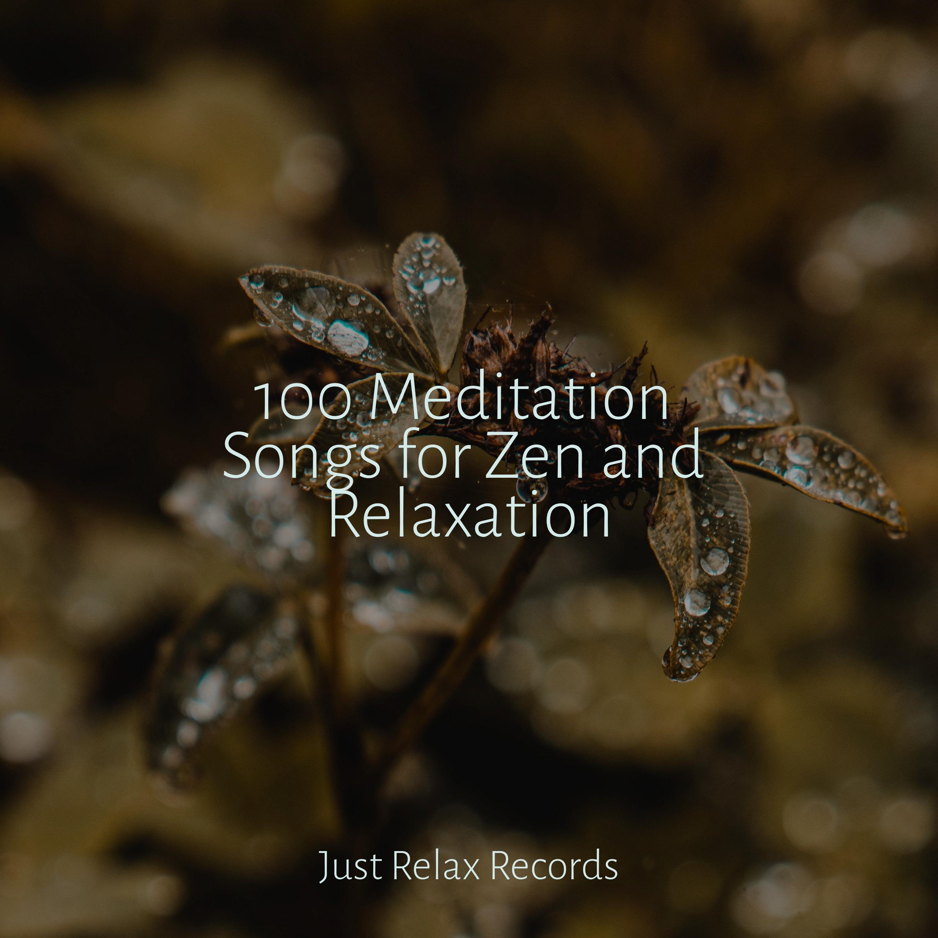 Ethereal Zephyr Dreams - Spa & Spa/Best Relaxing SPA Music/Musica ...
