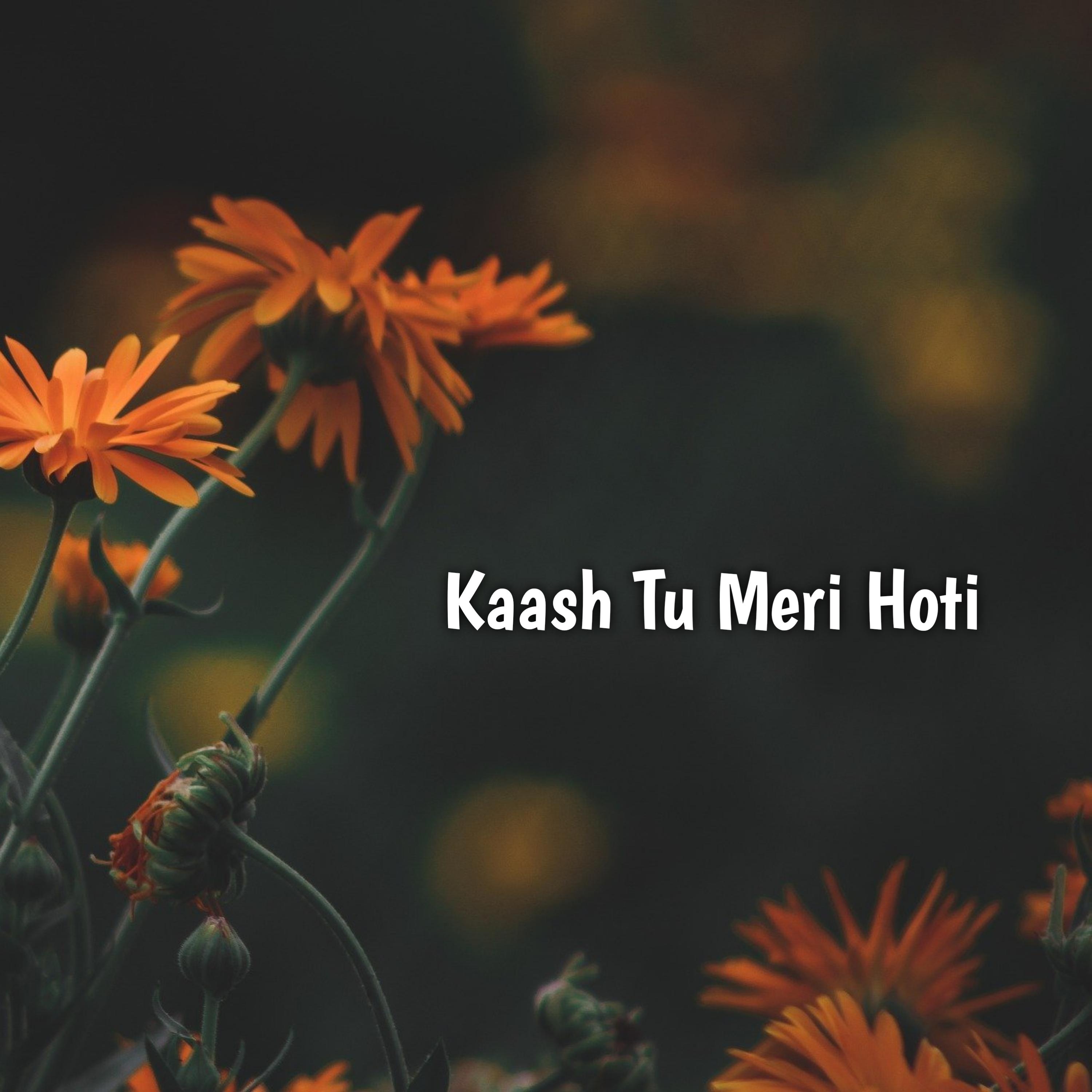 Kaash Tu Meri Hoti - Arjun Rathore - 单曲 - 网易云音乐