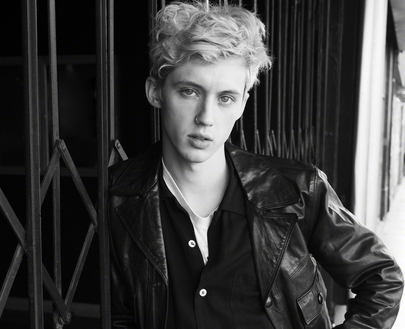 Troye Sivan（Troye Sivan Mellet） - 歌手 - 网易云音乐