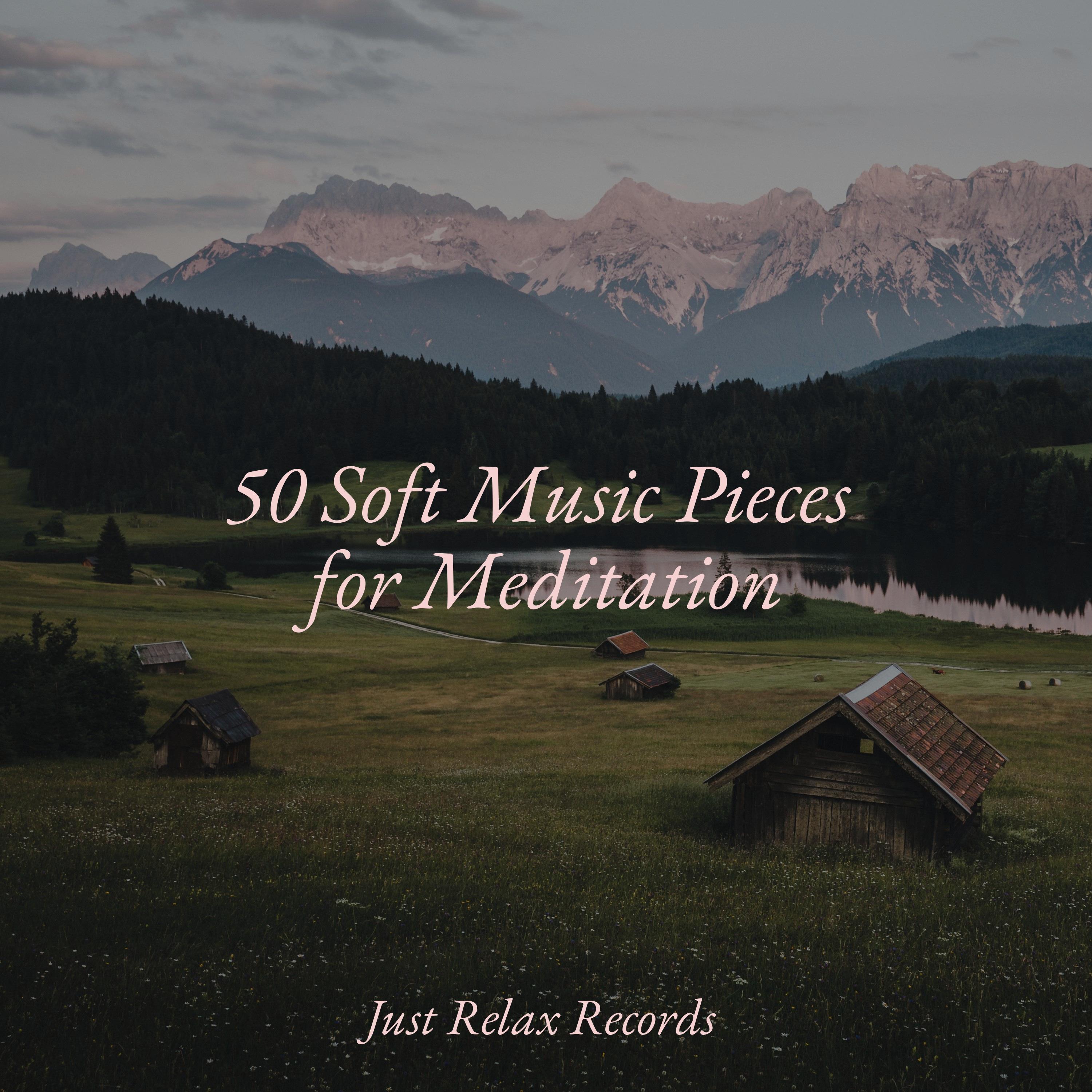 50 Soft Music Pieces for Meditation - Chillout Lounge - 专辑 - 网易云音乐
