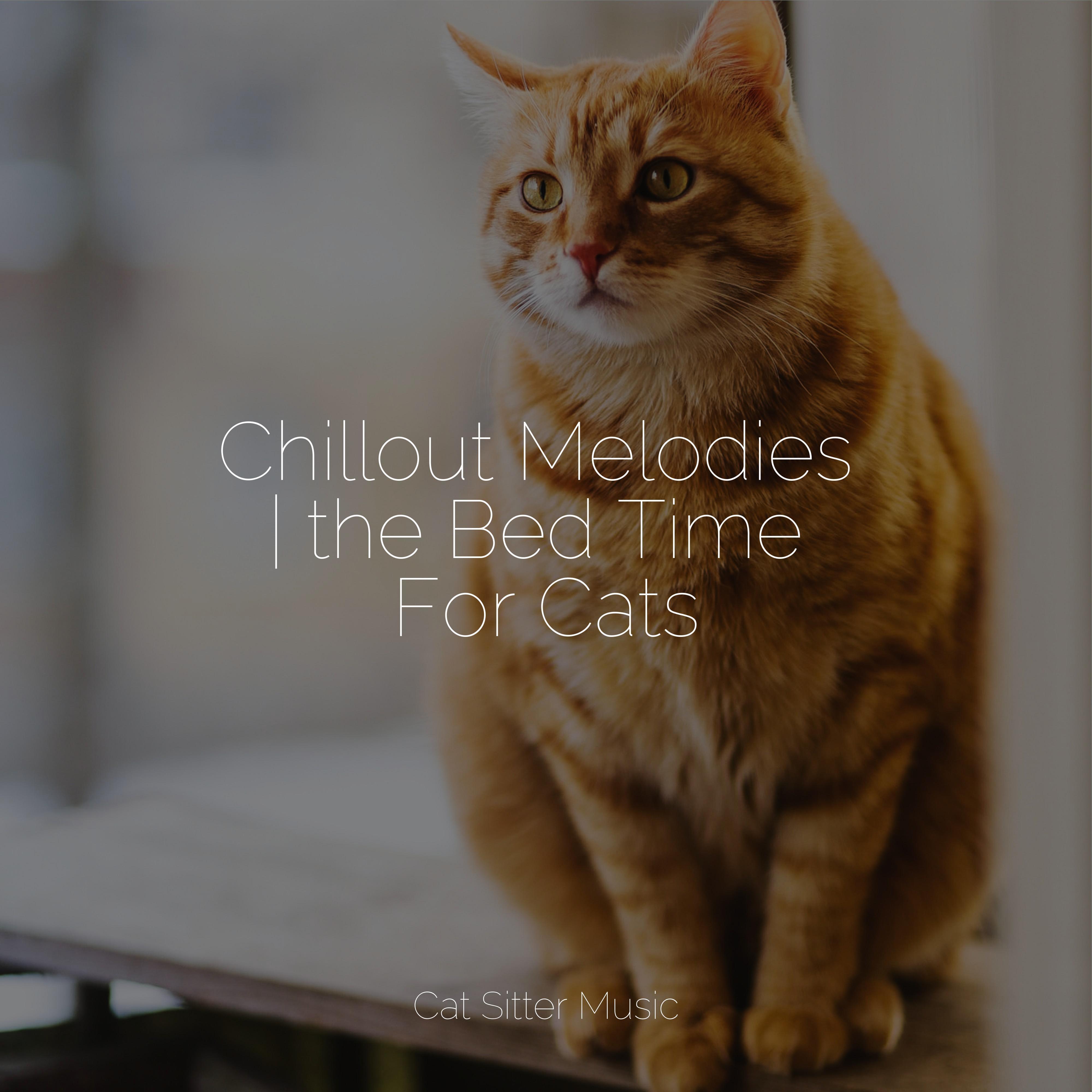 Low Frequency Waves - Jazz Music for Cats/Music for Cats Project/Music ...