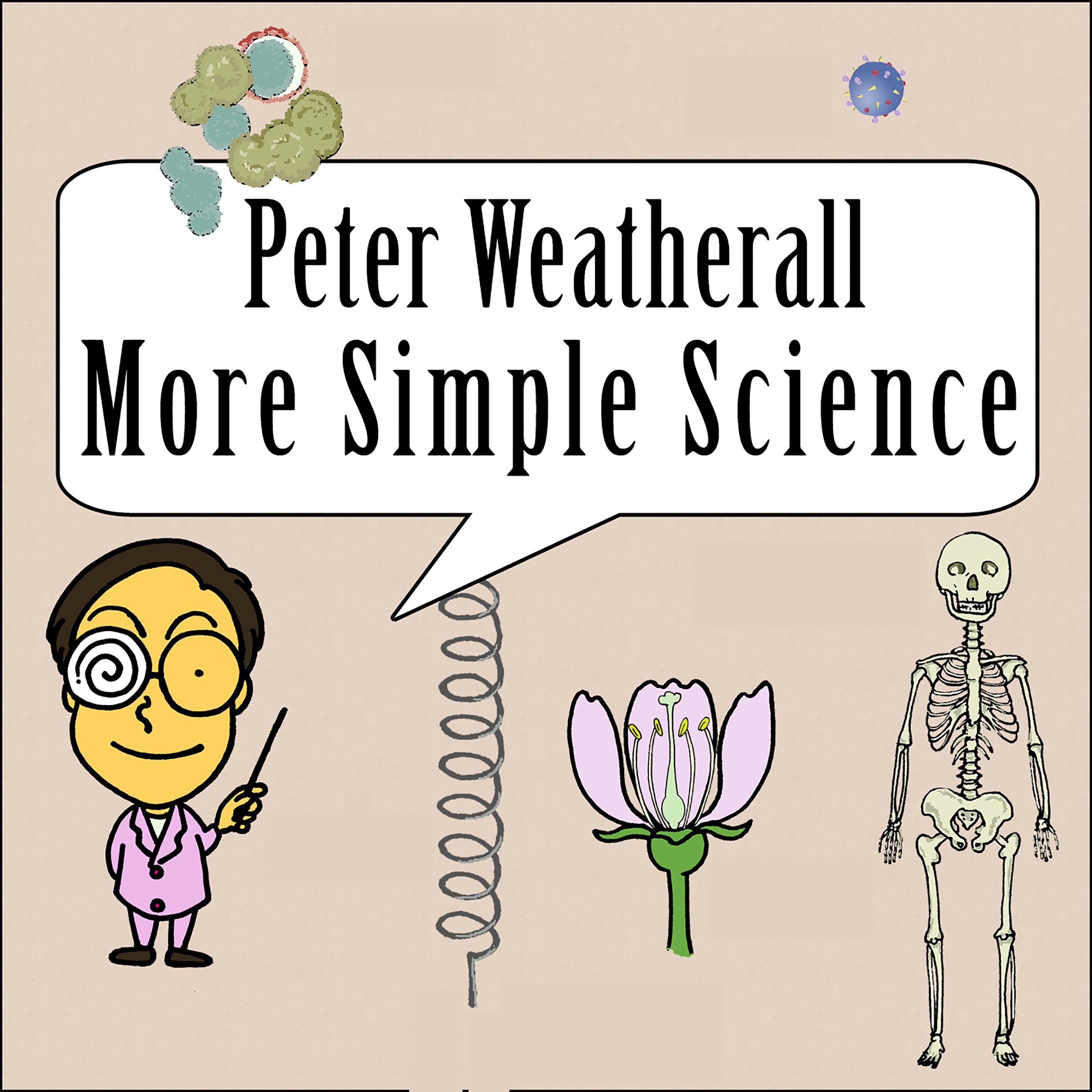 Microorganisms Song - Peter Weatherall - 单曲 - 网易云音乐