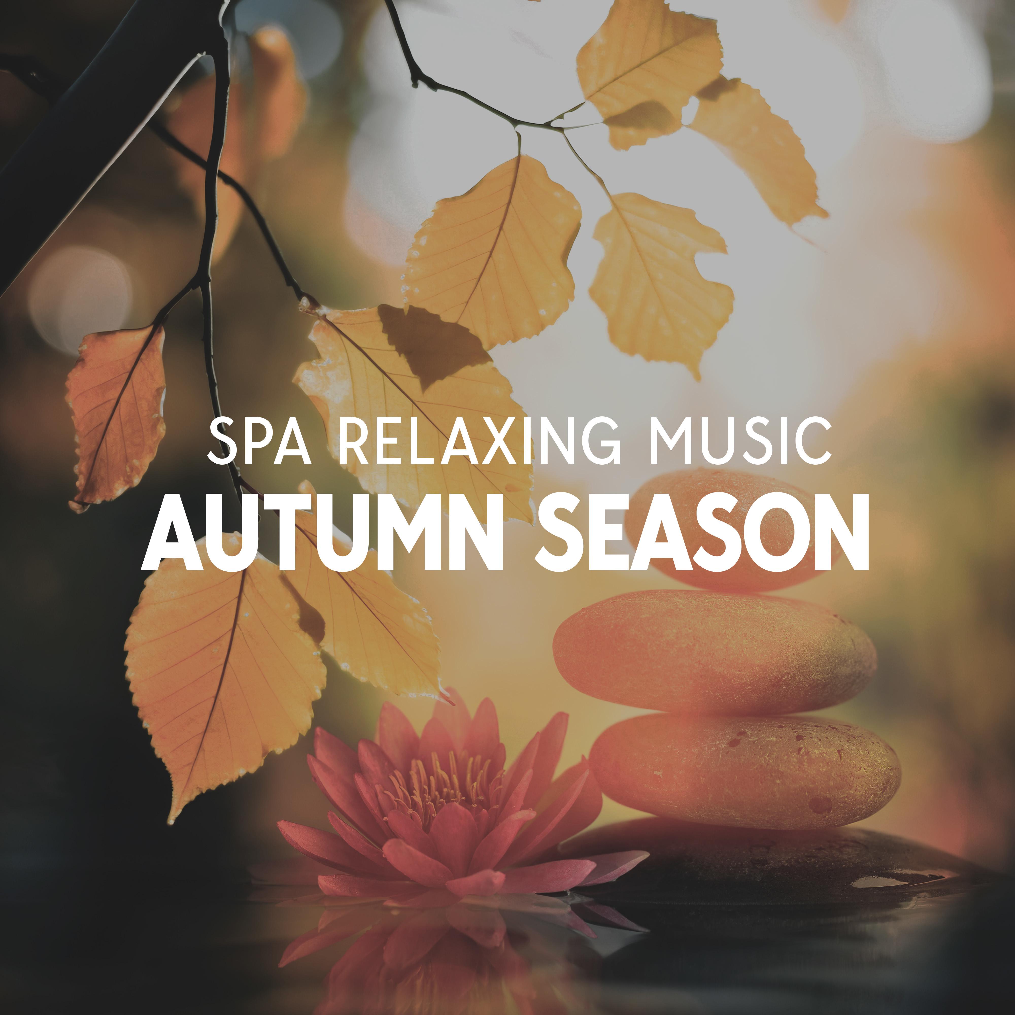 Spa Relaxing Music Autumn Season: Nature Sounds for Meditation, Spa ...