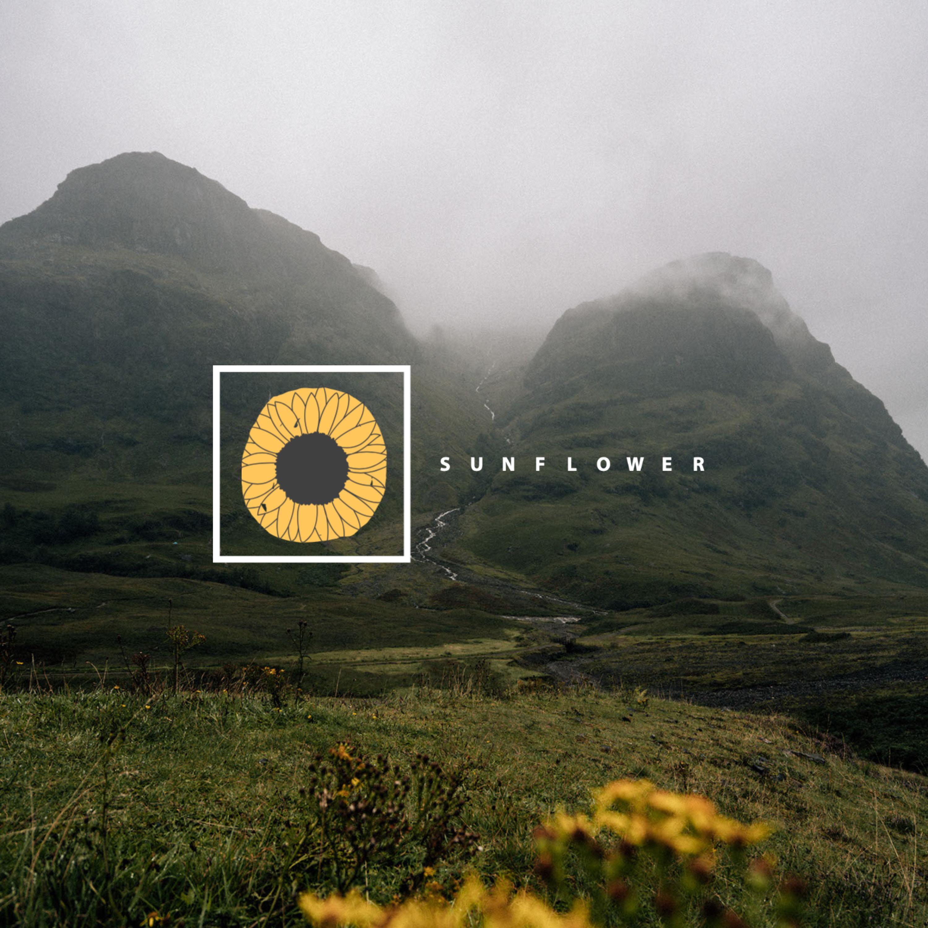 Sunflower - Brendan Walter - 专辑 - 网易云音乐