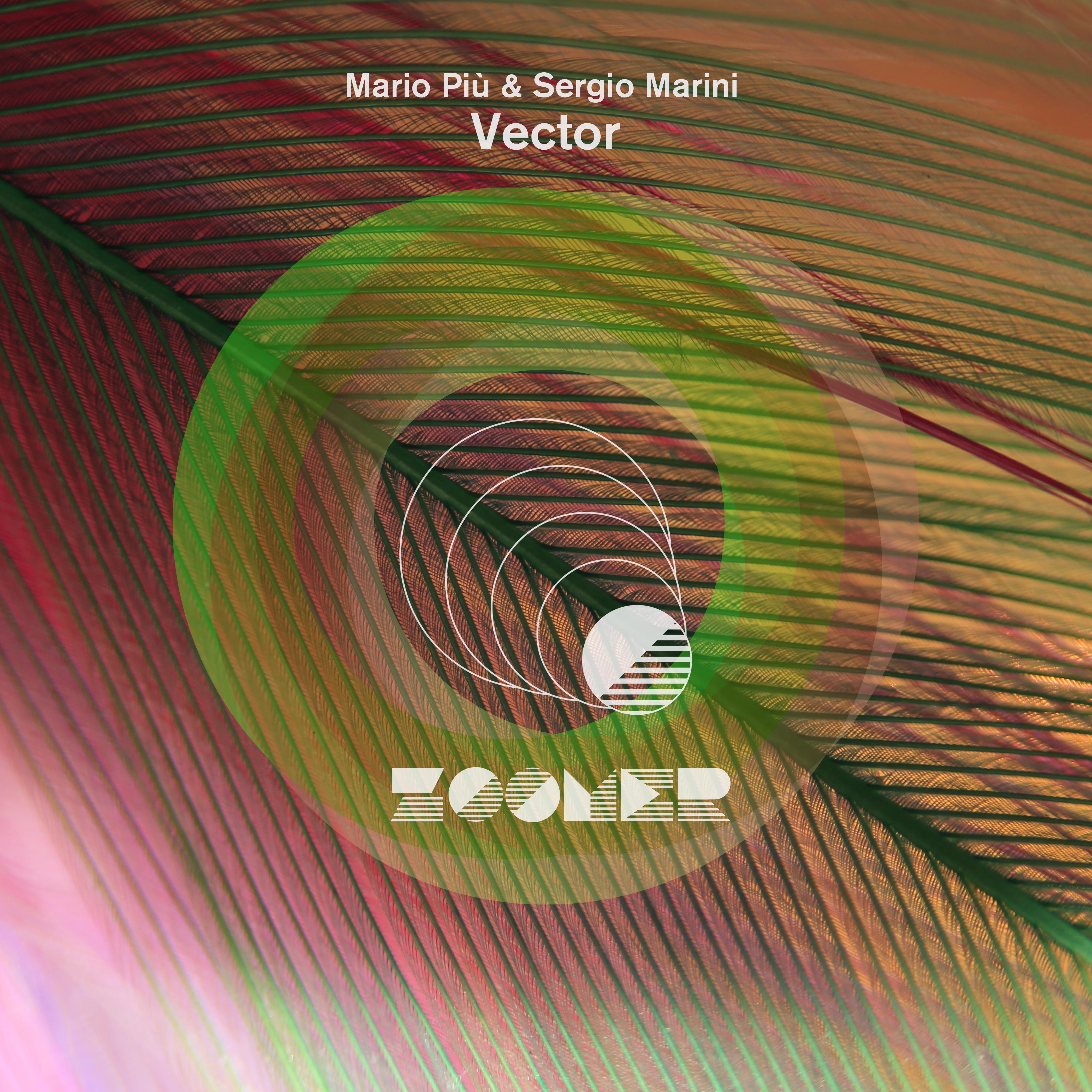 Vector - Mario Piu - 专辑 - 网易云音乐