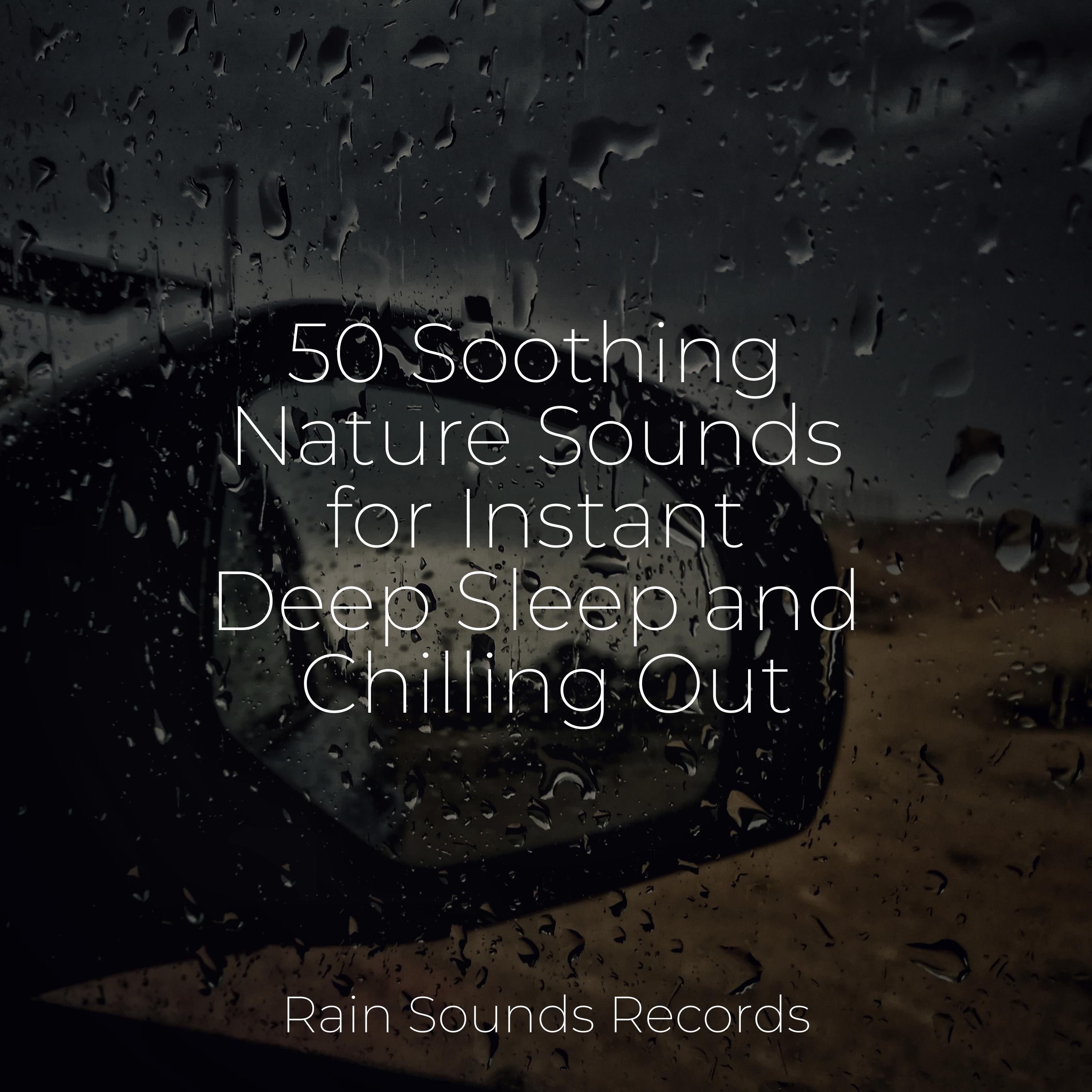 50 Soothing Nature Sounds for Instant Deep Sleep and Chilling Out ...
