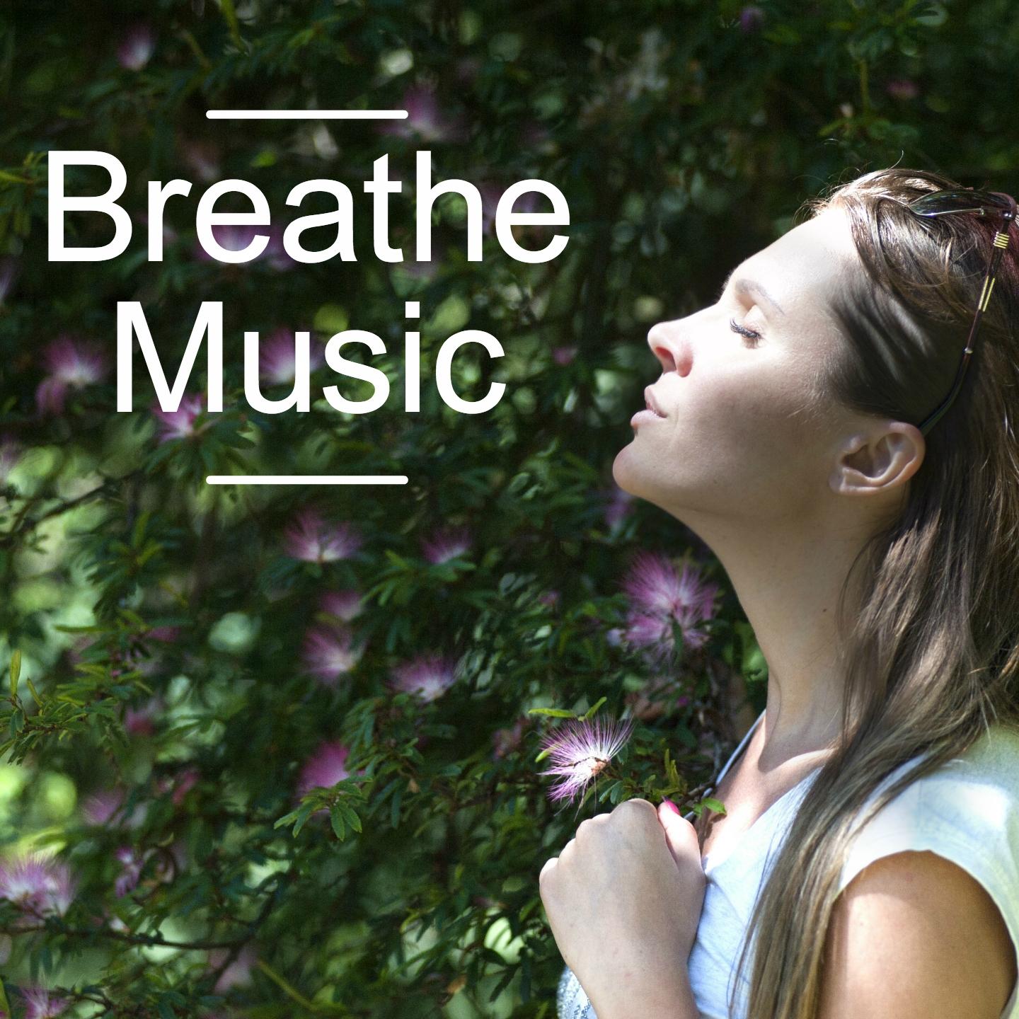 Breathe Music - Various Artists - 专辑 - 网易云音乐