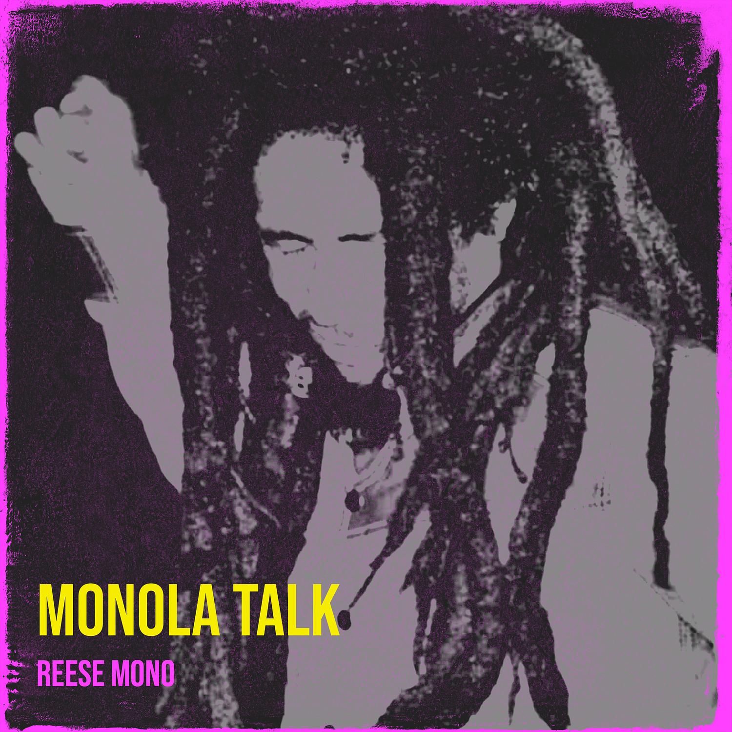 Monola Talk - Reese Mono - 单曲 - 网易云音乐