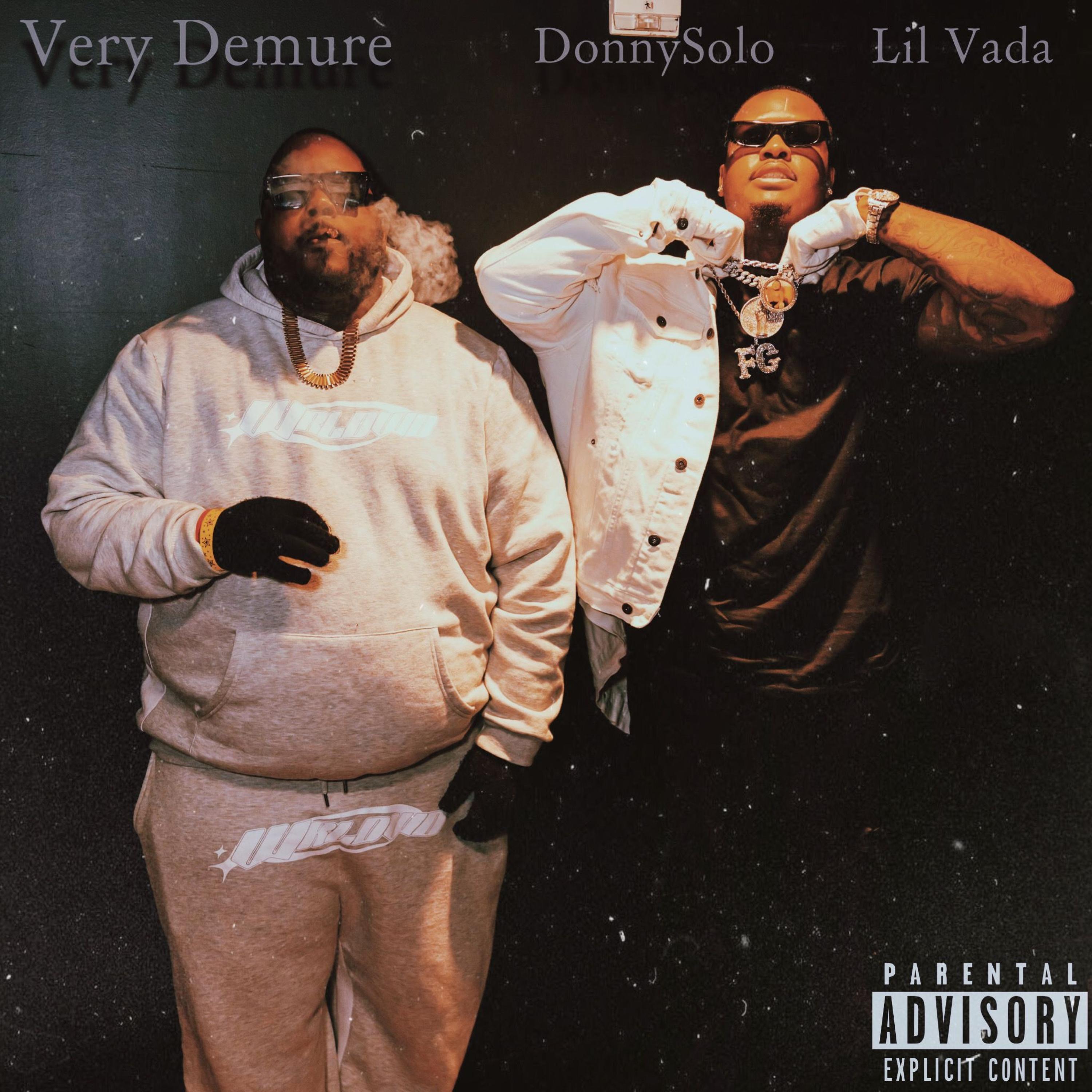 Very Demure - DonnySolo - 专辑 - 网易云音乐