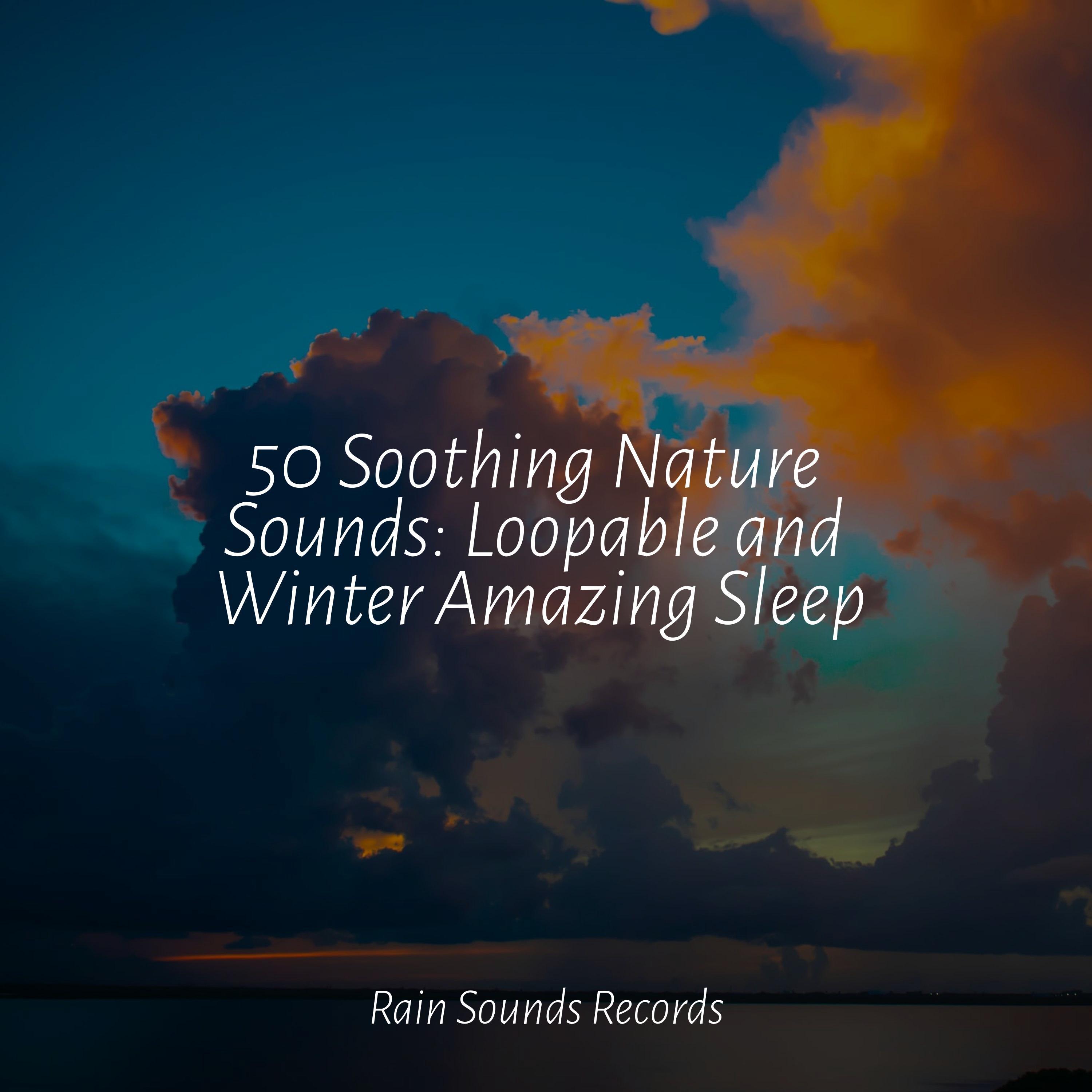 50 Soothing Nature Sounds: Loopable and Winter Amazing Sleep ...