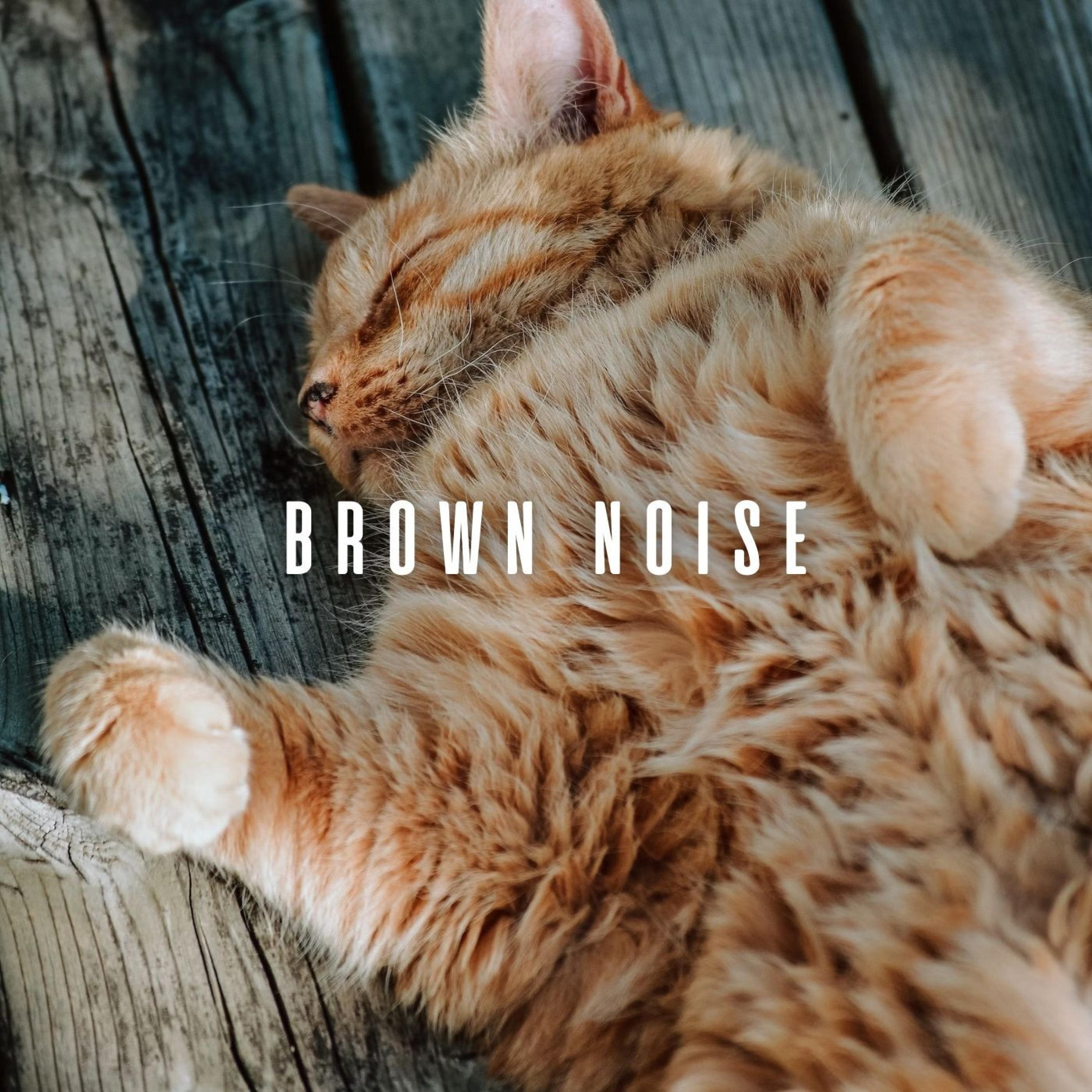 Tranquil Catnap Melodies - 101 Noise/Cat Music Relaxation/Relaxing Cat ...