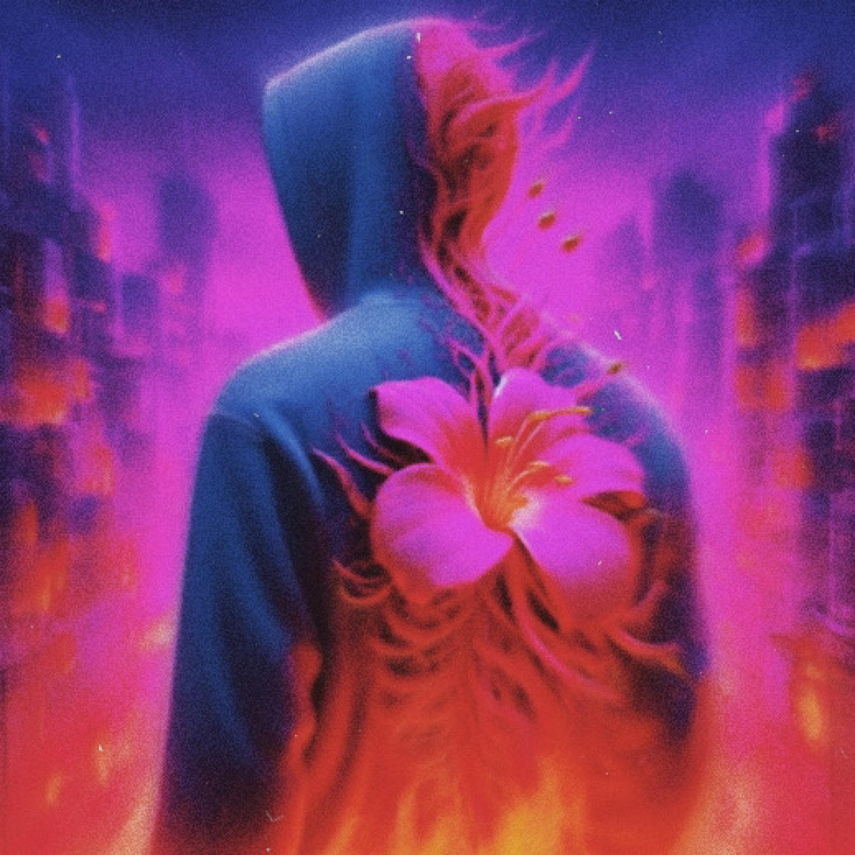 Late Bloomer(Versions) - Nova Rod - 专辑 - 网易云音乐