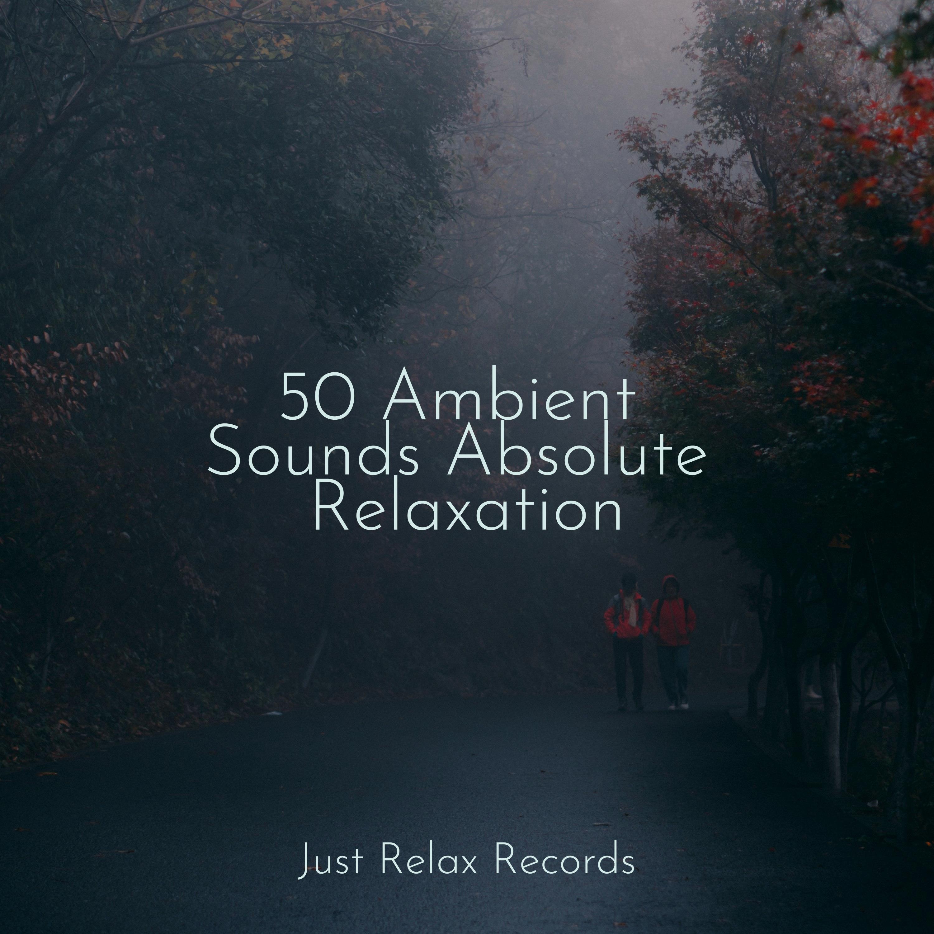 50 Ambient Sounds Absolute Relaxation - Binaural Beats Brainwave ...