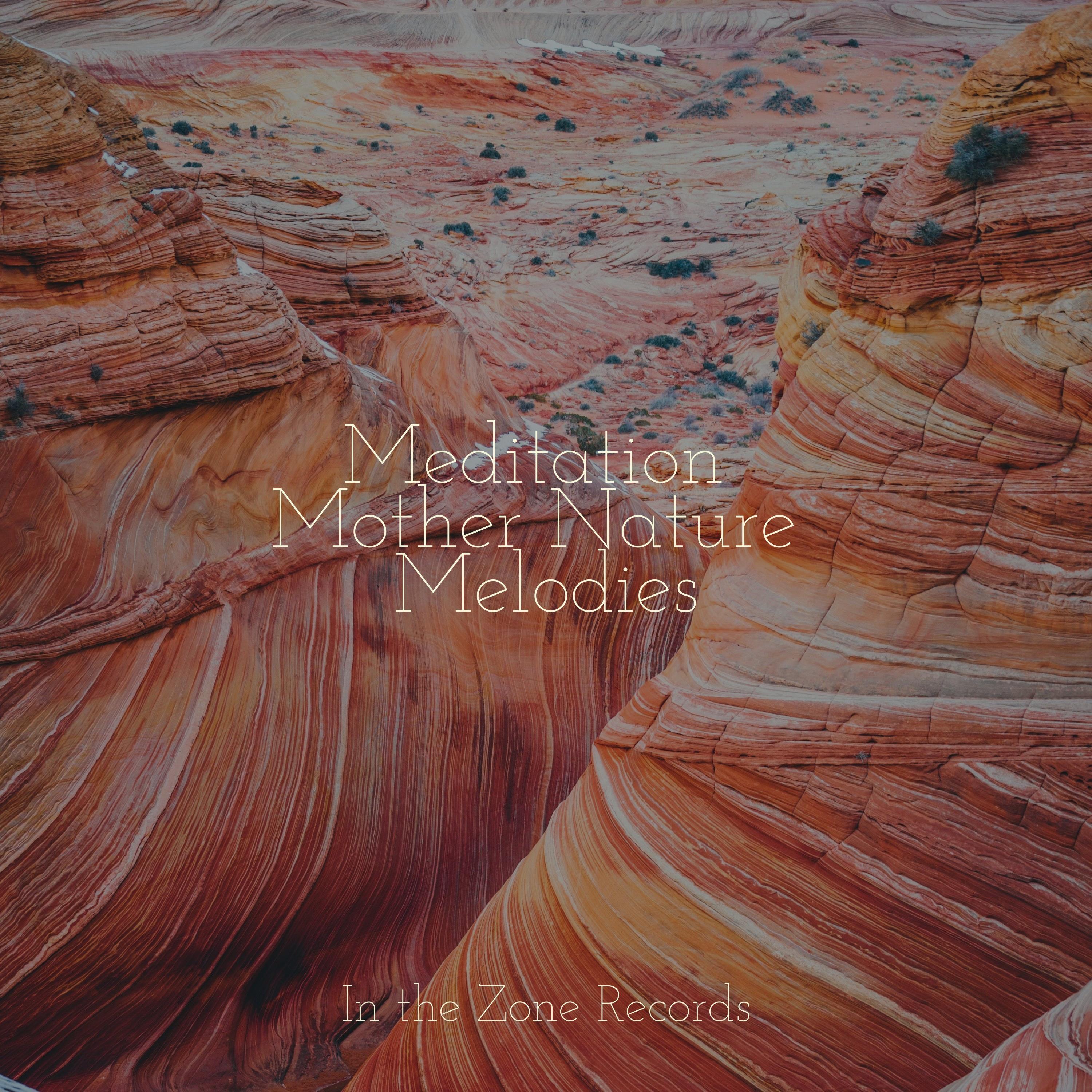 Meditation Mother Nature Melodies - lounge relax - 专辑 - 网易云音乐