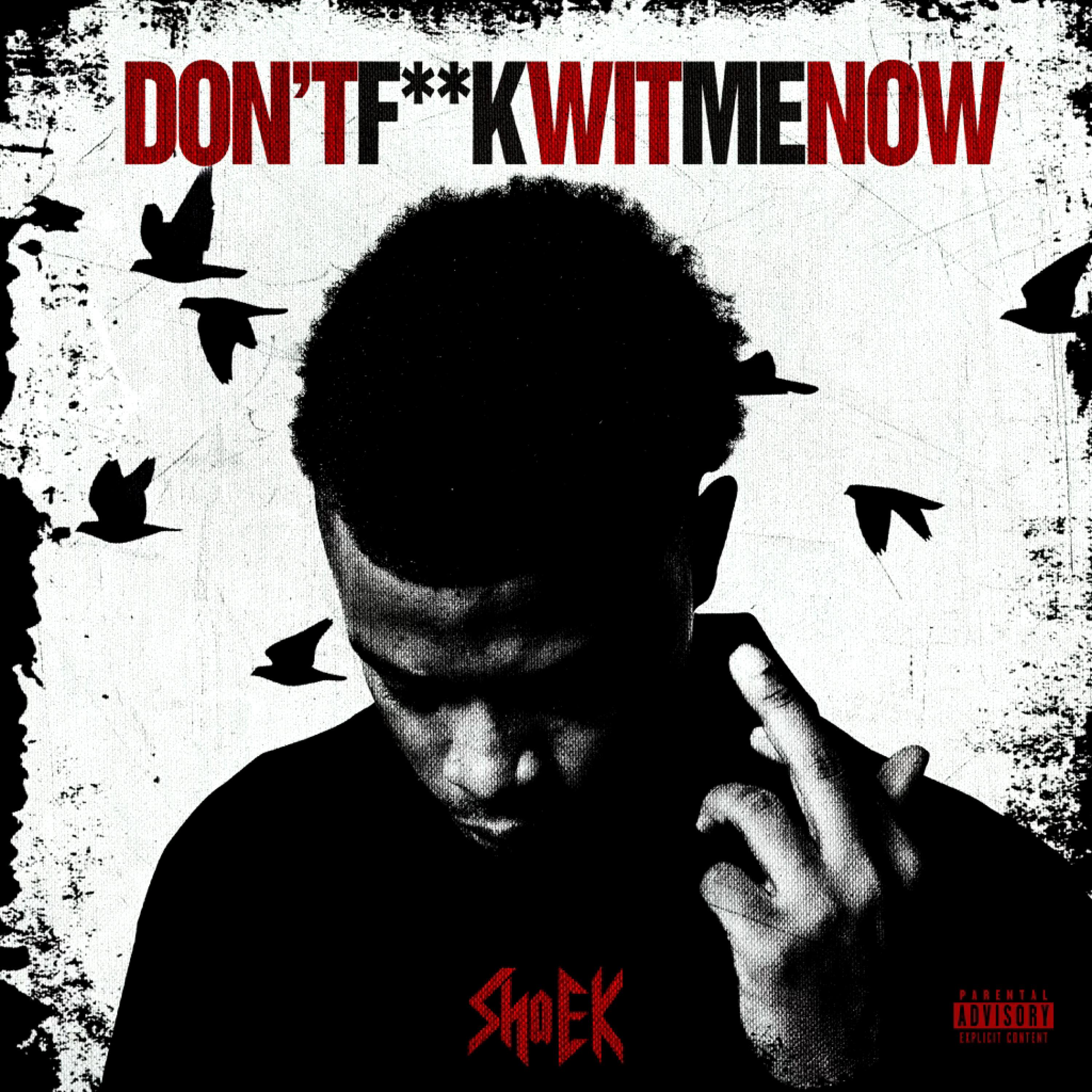 Don't **** With Me Now - Sha Ek - 单曲 - 网易云音乐