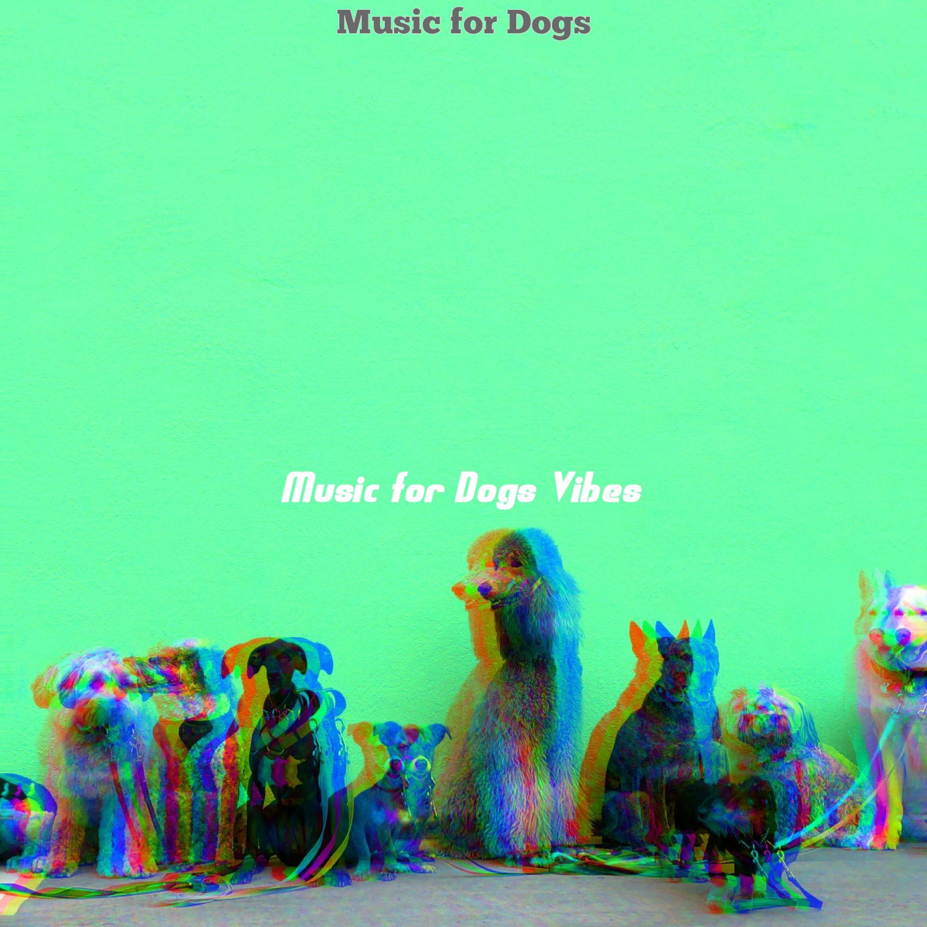 Spacious Cute Puppies - Music for Dogs Vibes - 单曲 - 网易云音乐